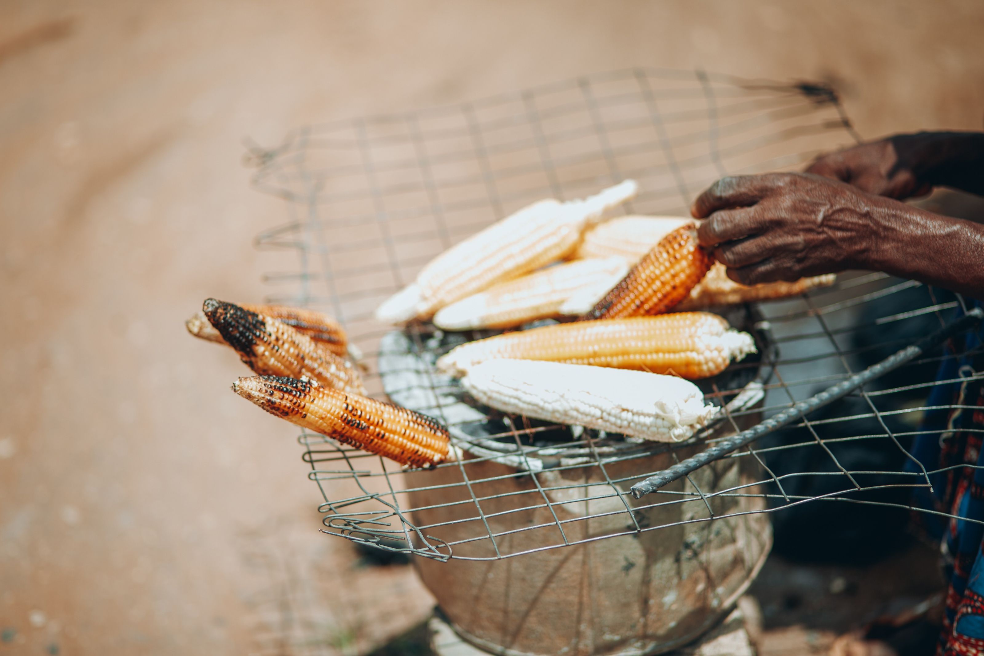 Elderly Hands Roasting Maize in Kaduna · Free Stock Photo