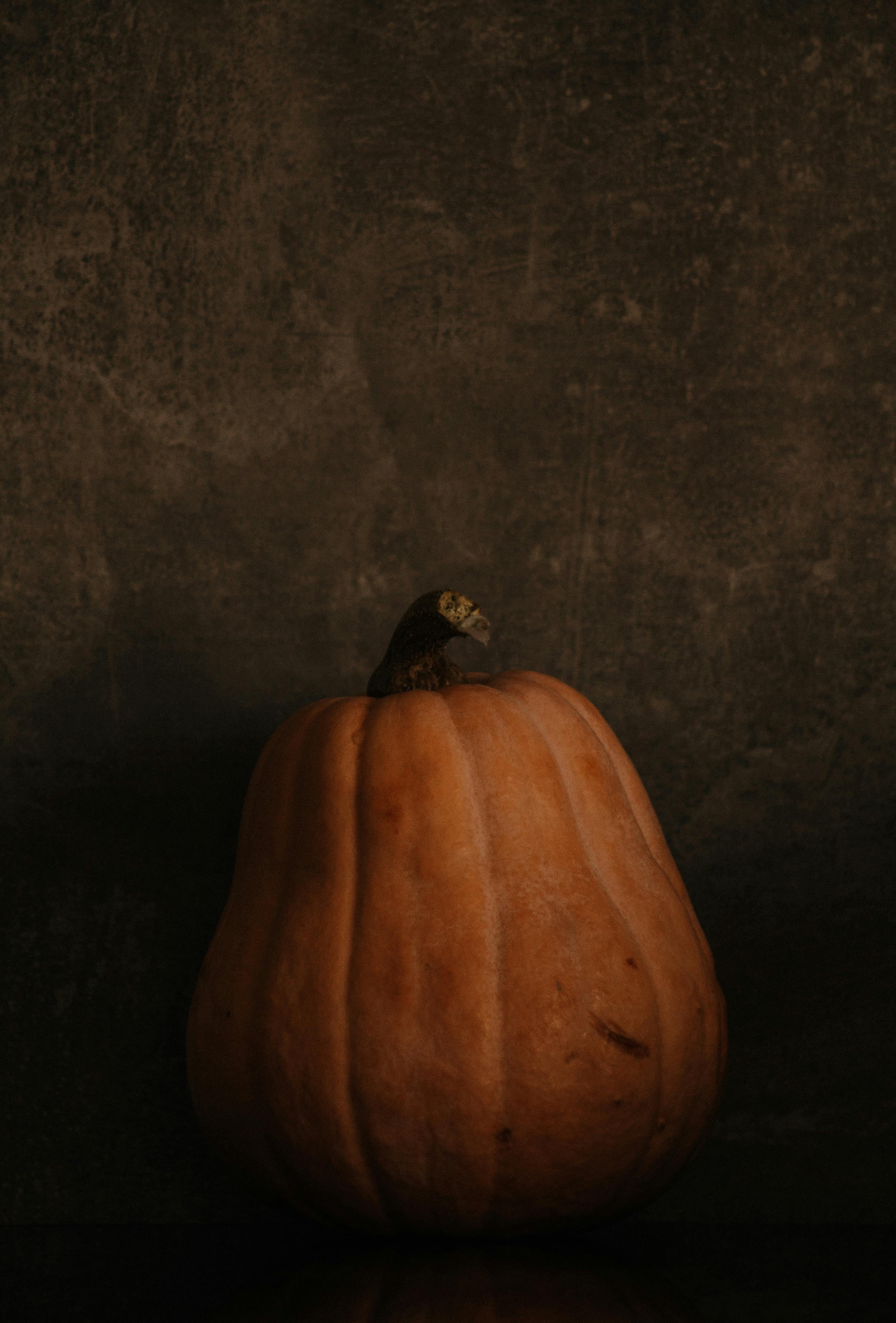 Halloween Virtual Backgrounds Photos, Download The BEST Free Halloween ...