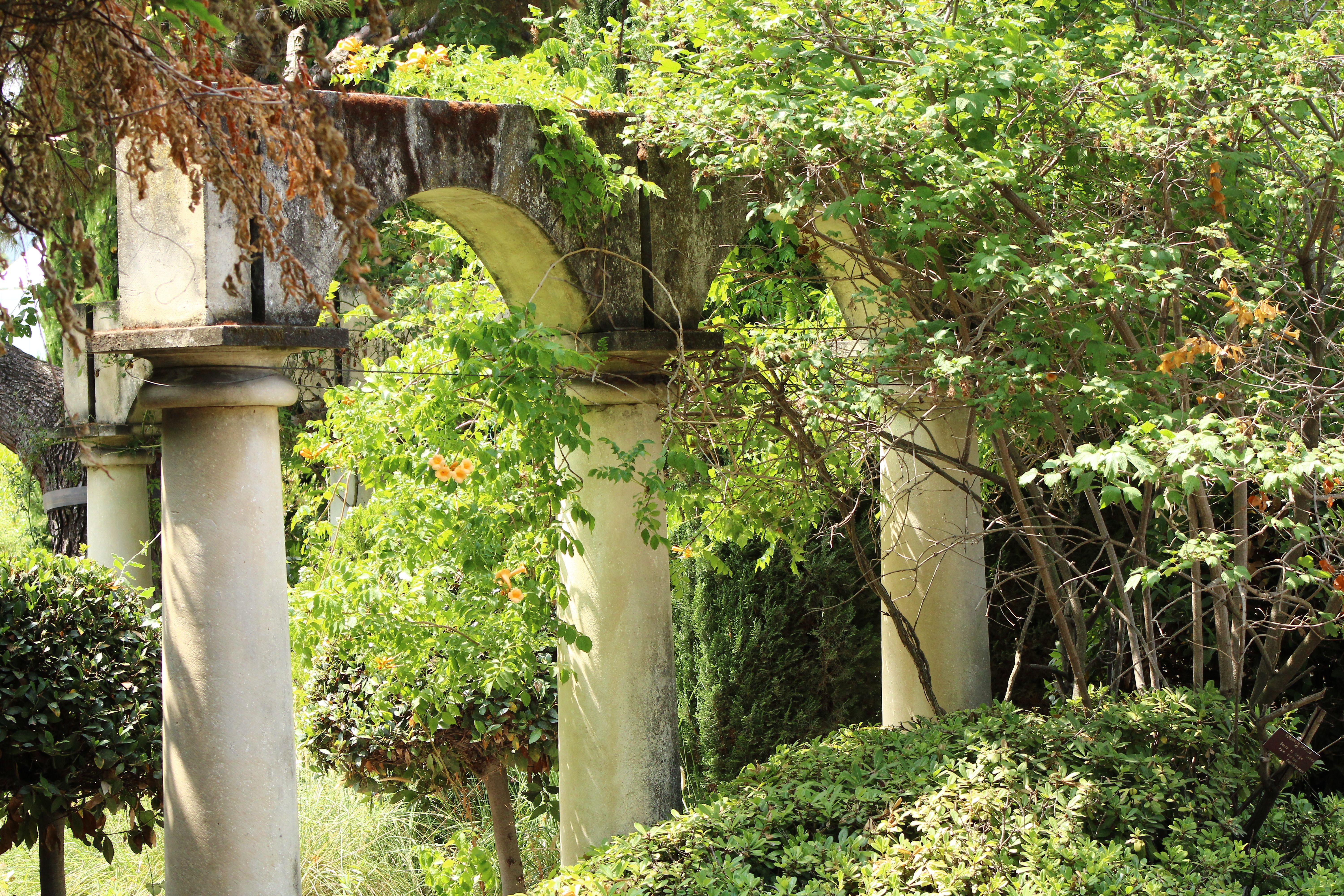 Arche De Jardin Avec Verdure Luxuriante Et Piliers En Pierre · Photo ...