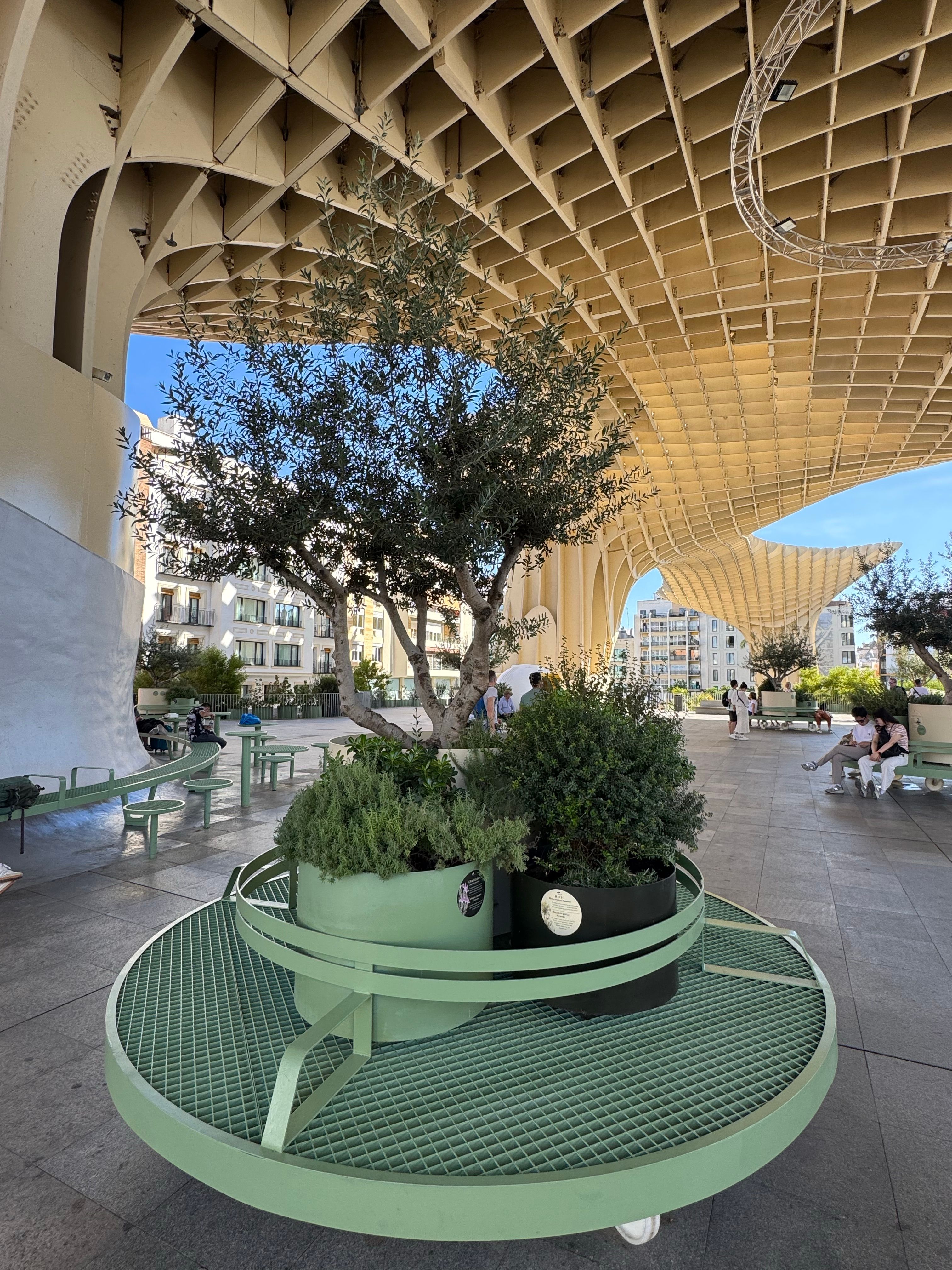 Architectural Structure Under Metropol Parasol in Seville · Free Stock ...