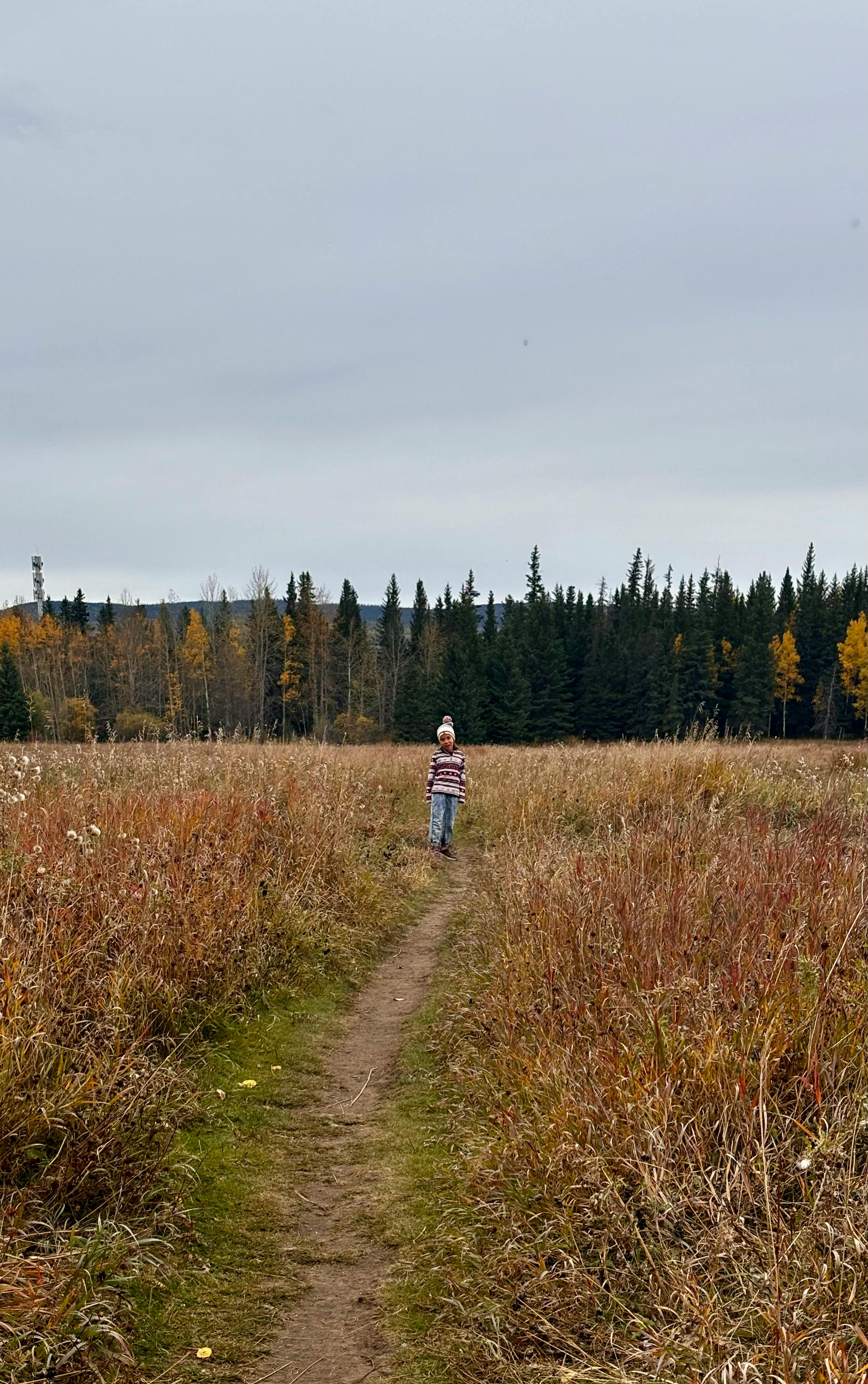 Colleen Lord - Photography