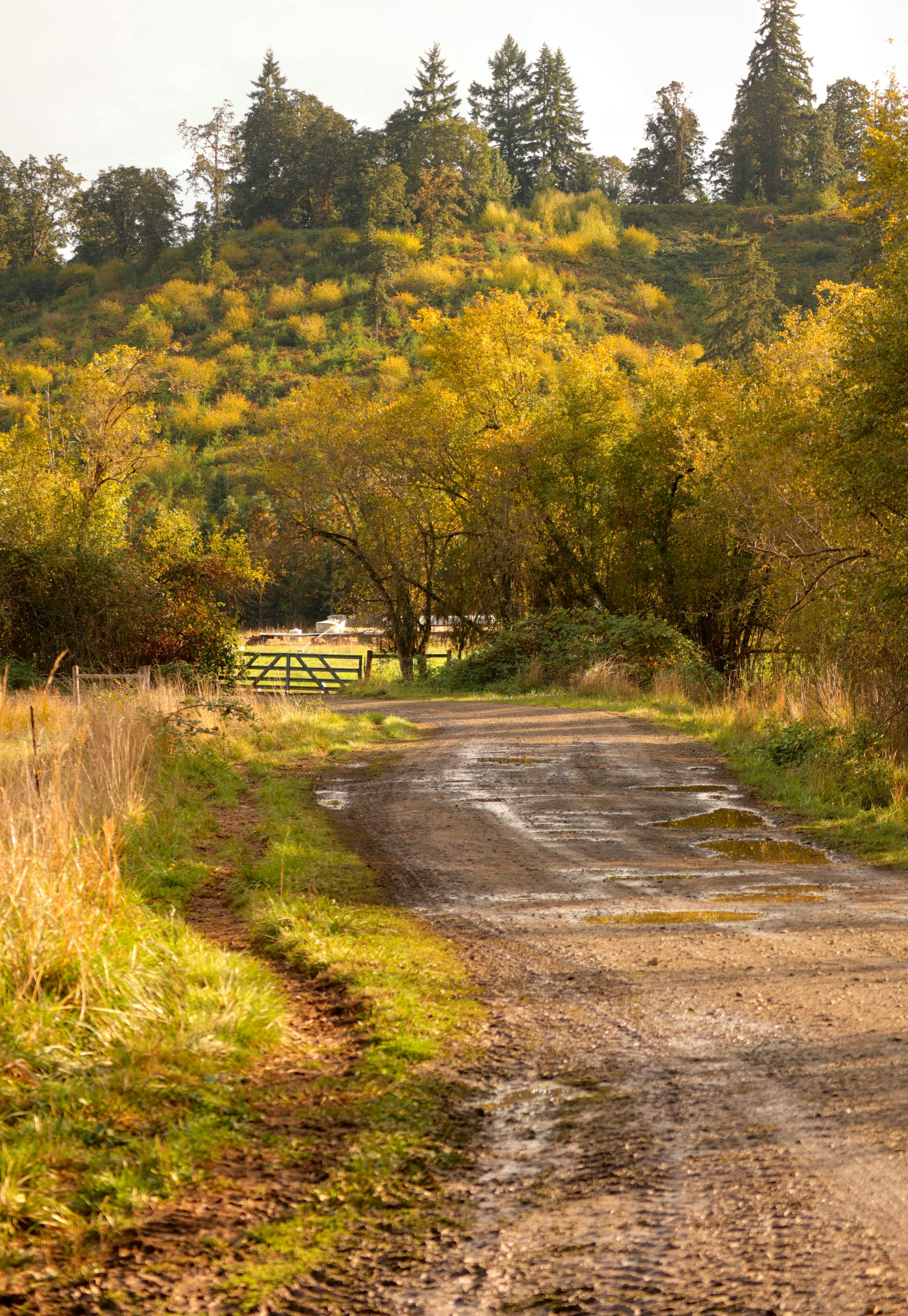 Imgsrc.Ru+Gateways Photos, Download The BEST Free Imgsrc.Ru+Gateways ...