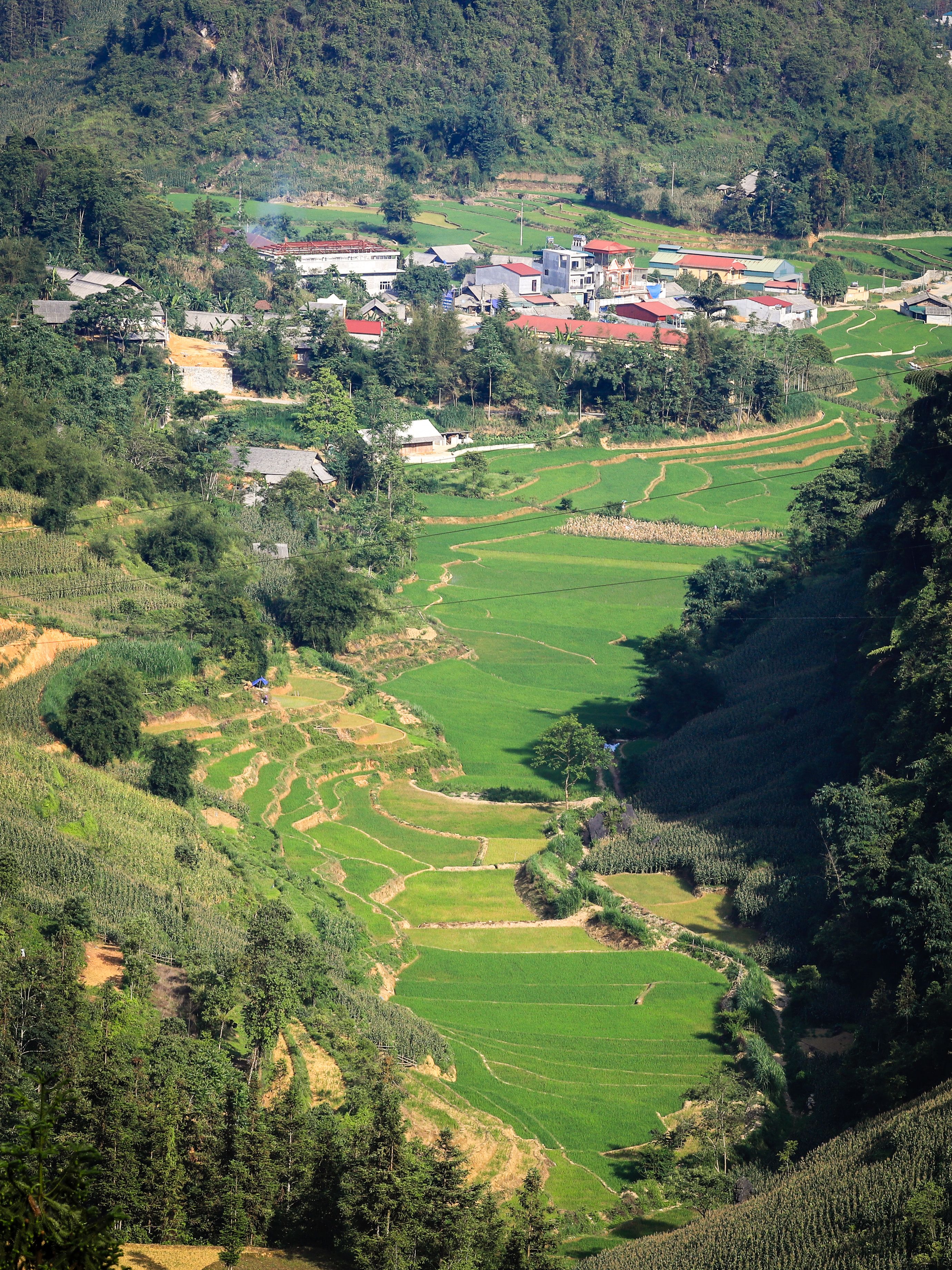 Aerial View of Lào Cai Terraced Rice Fields · Free Stock Photo