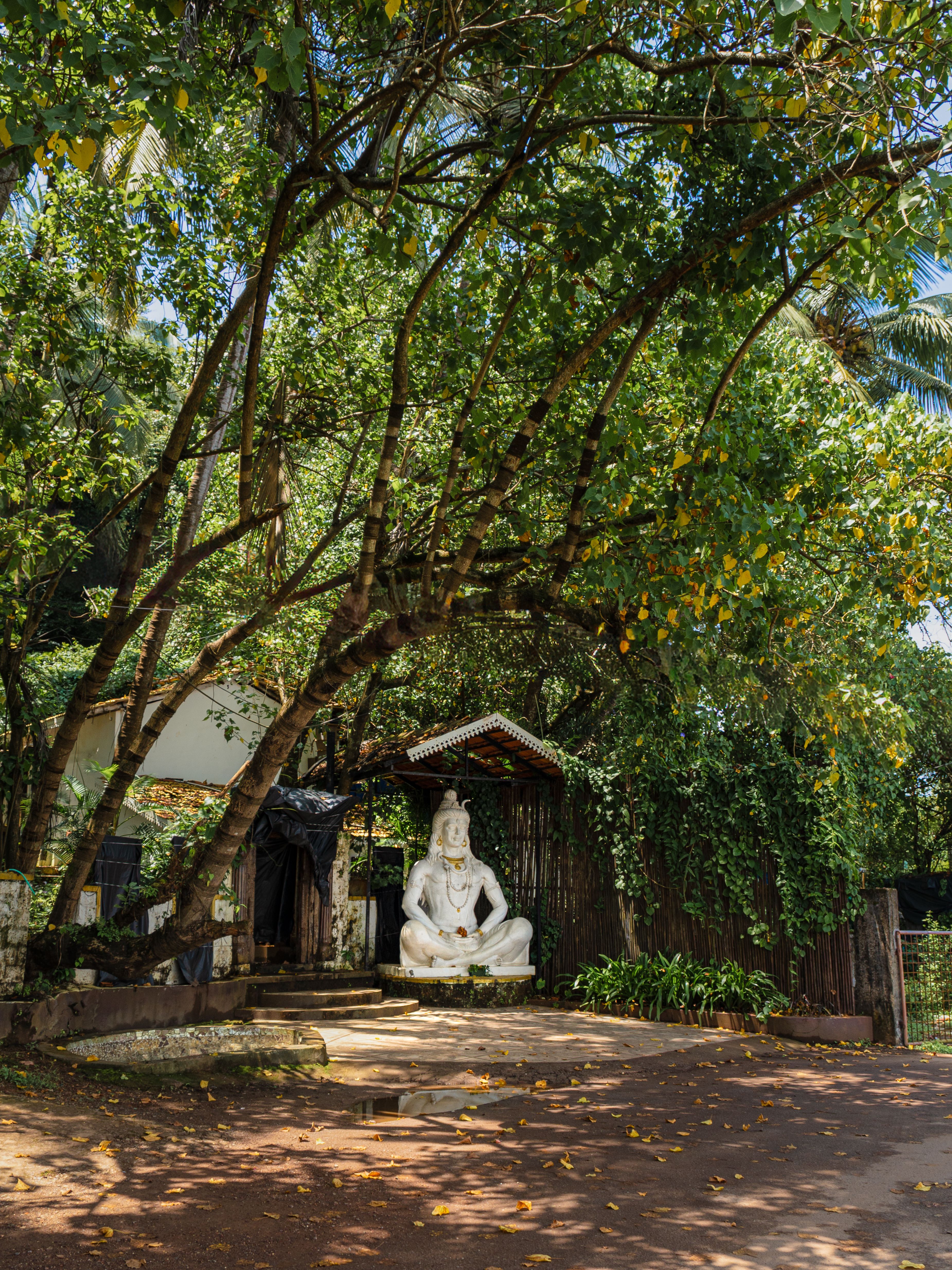 Serene Shiva Statue Amidst Lush Goan Greenery · Free Stock Photo