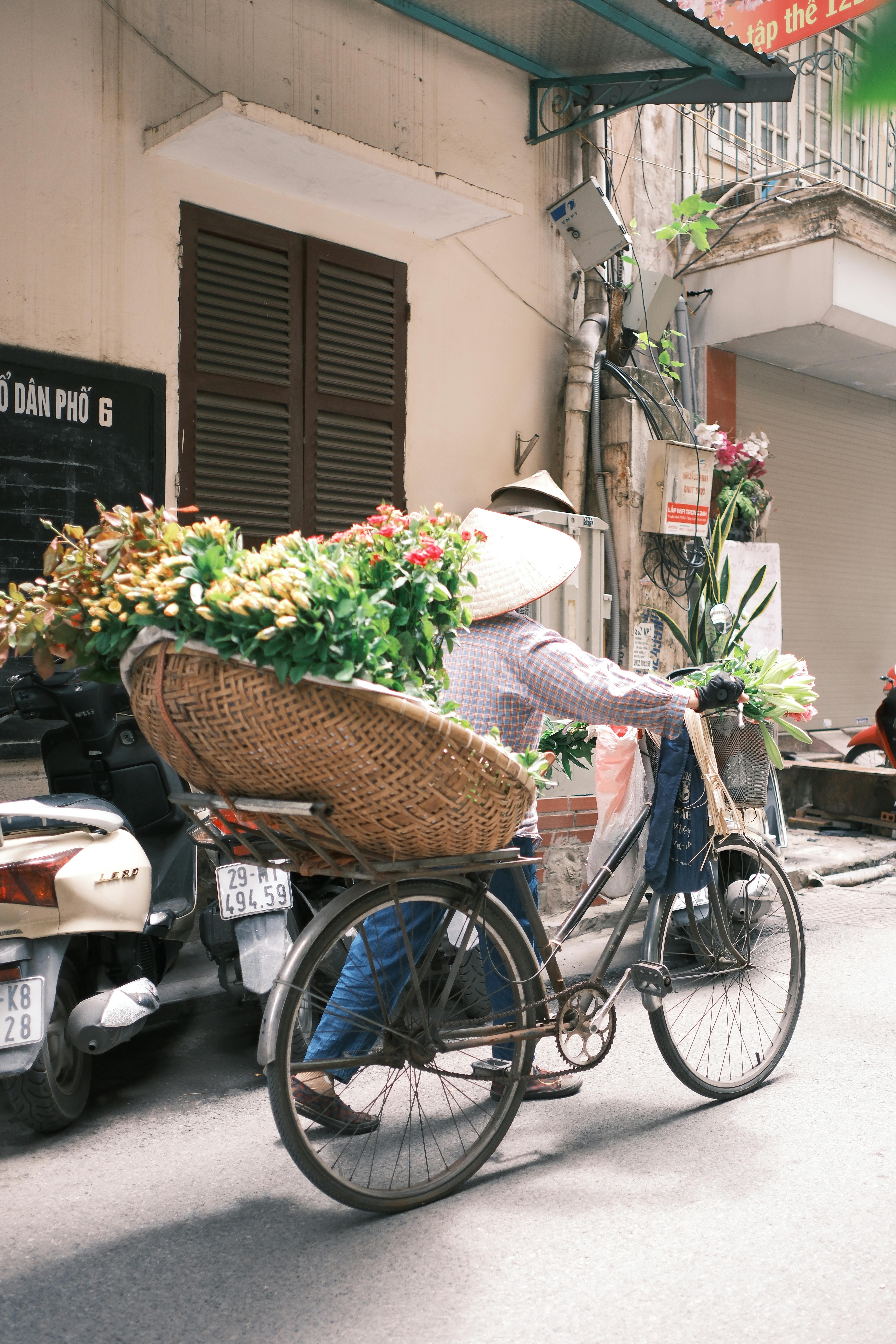 Vendor Photos, Download The BEST Free Vendor Stock Photos & HD Images