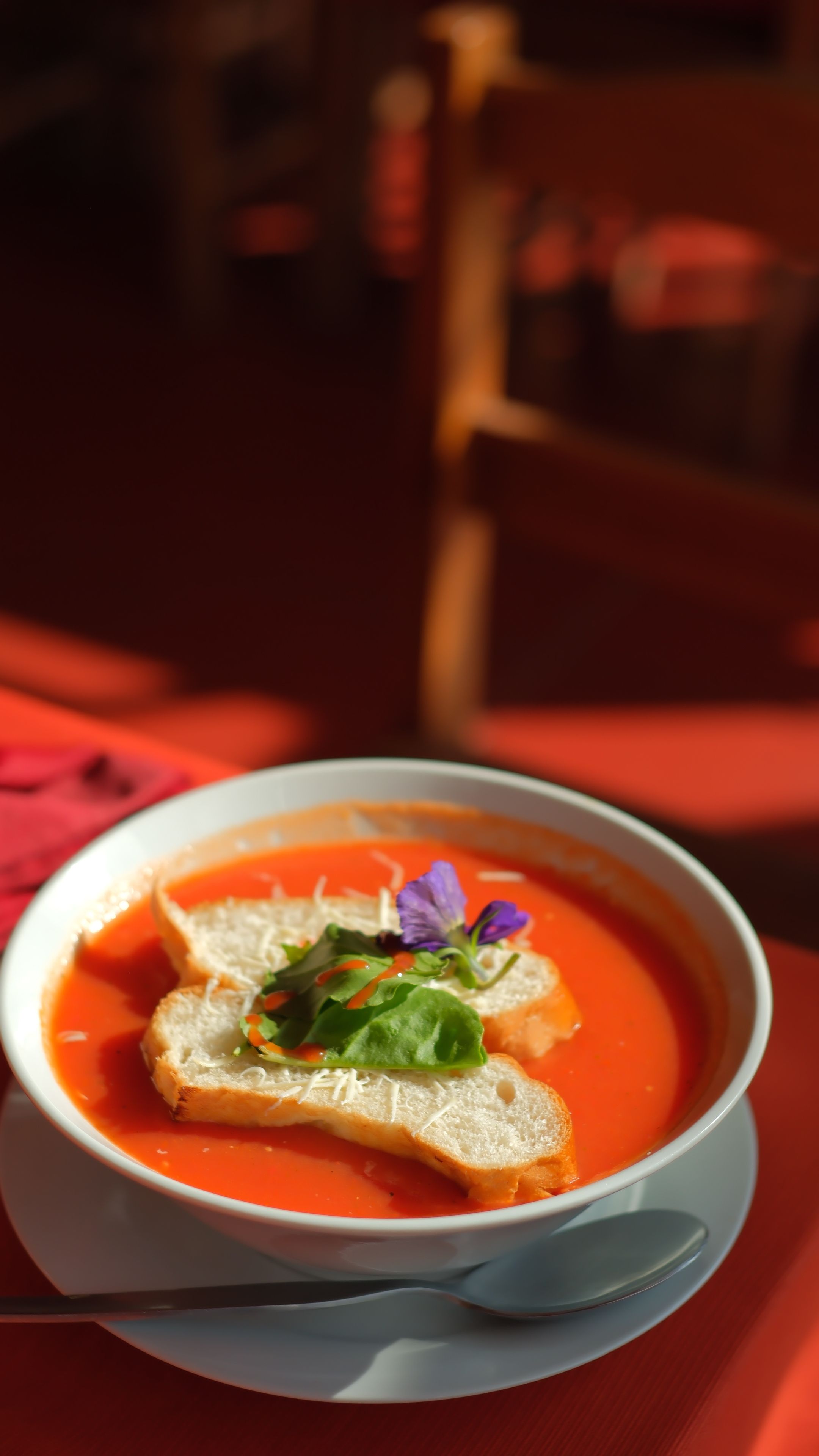 Sopa De Mute Photos, Download The BEST Free Sopa De Mute Stock Photos ...