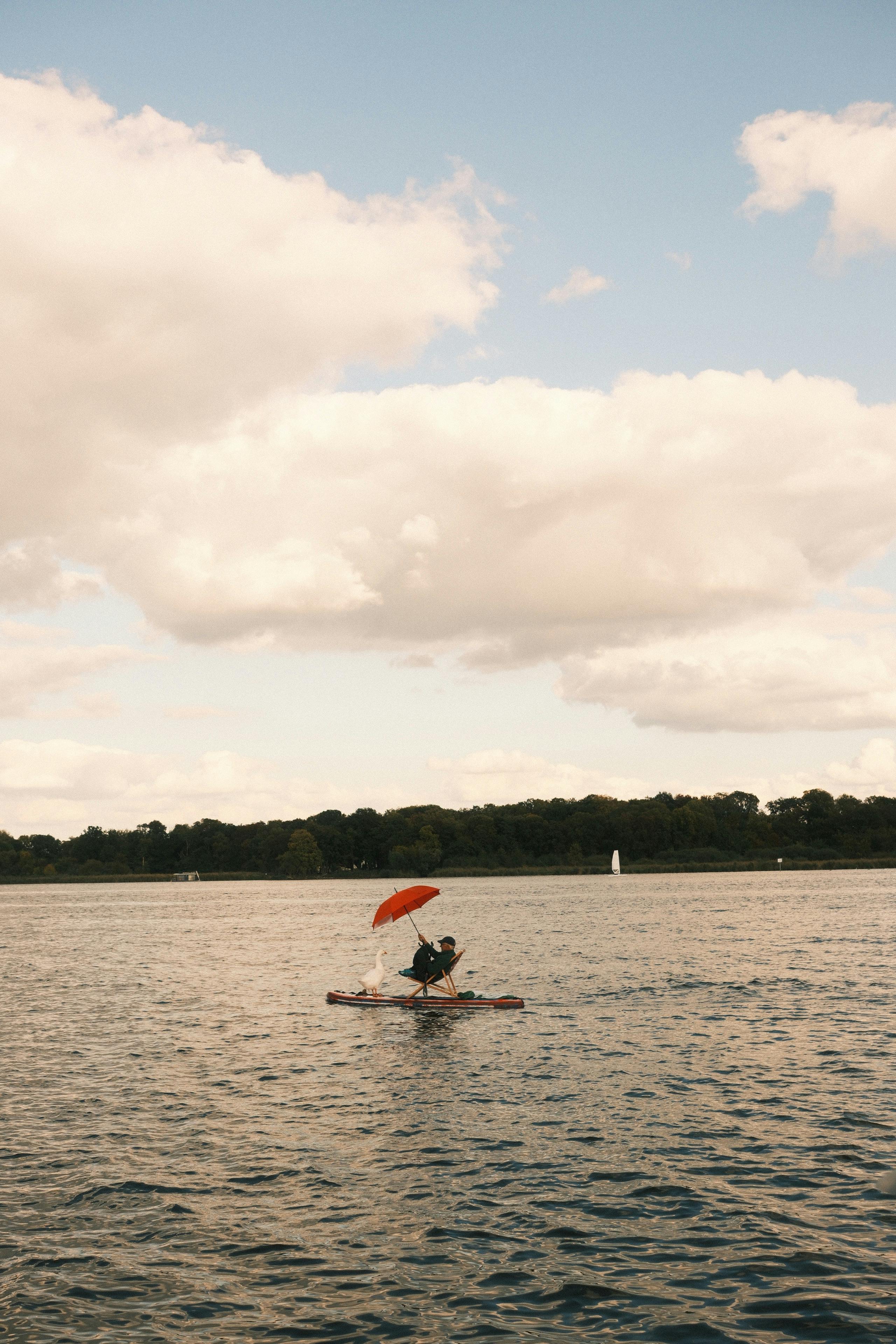 Paddle Photos, Download The BEST Free Paddle Stock Photos & HD Images