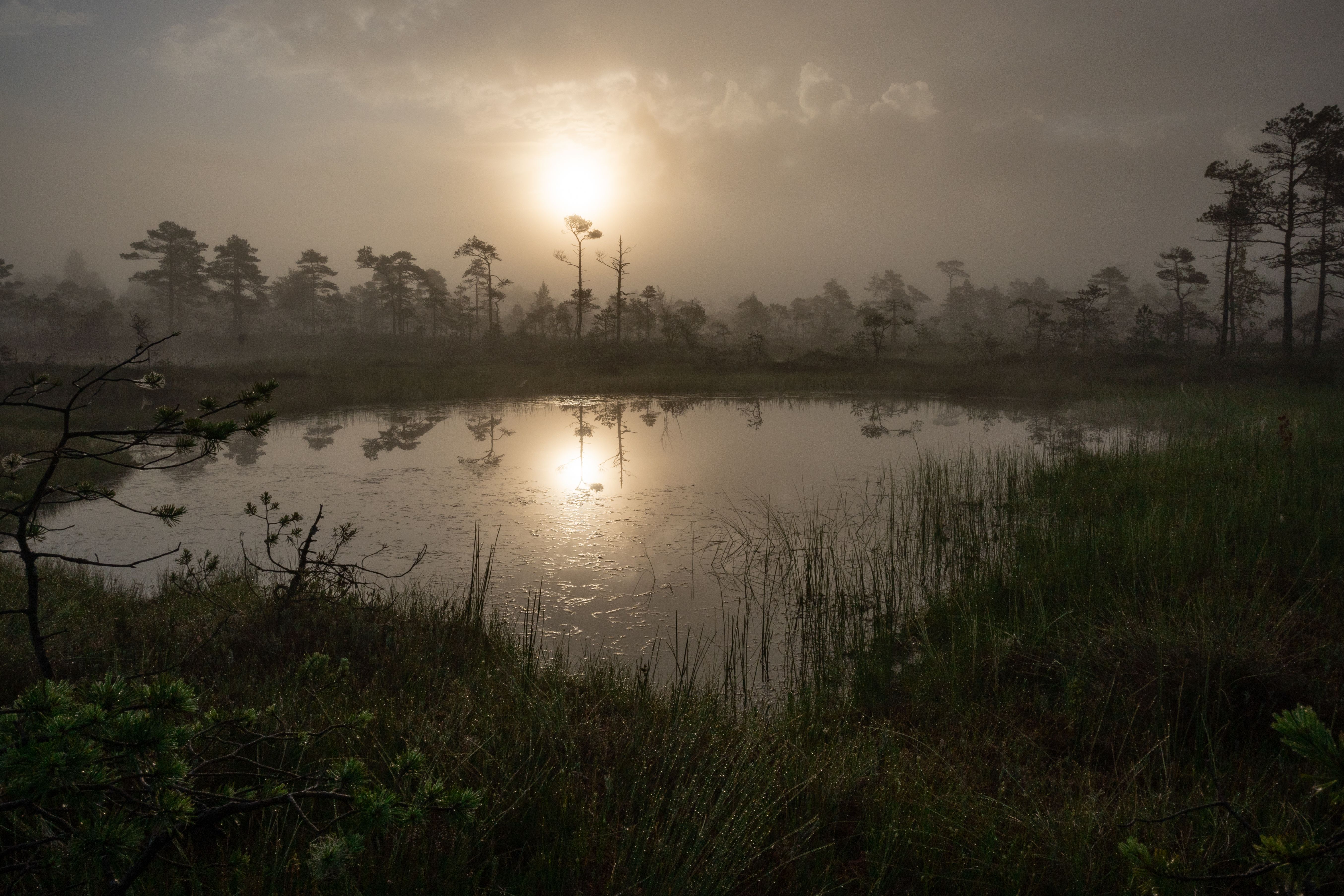 Relaxation Morning Photos, Download The BEST Free Relaxation Morning ...