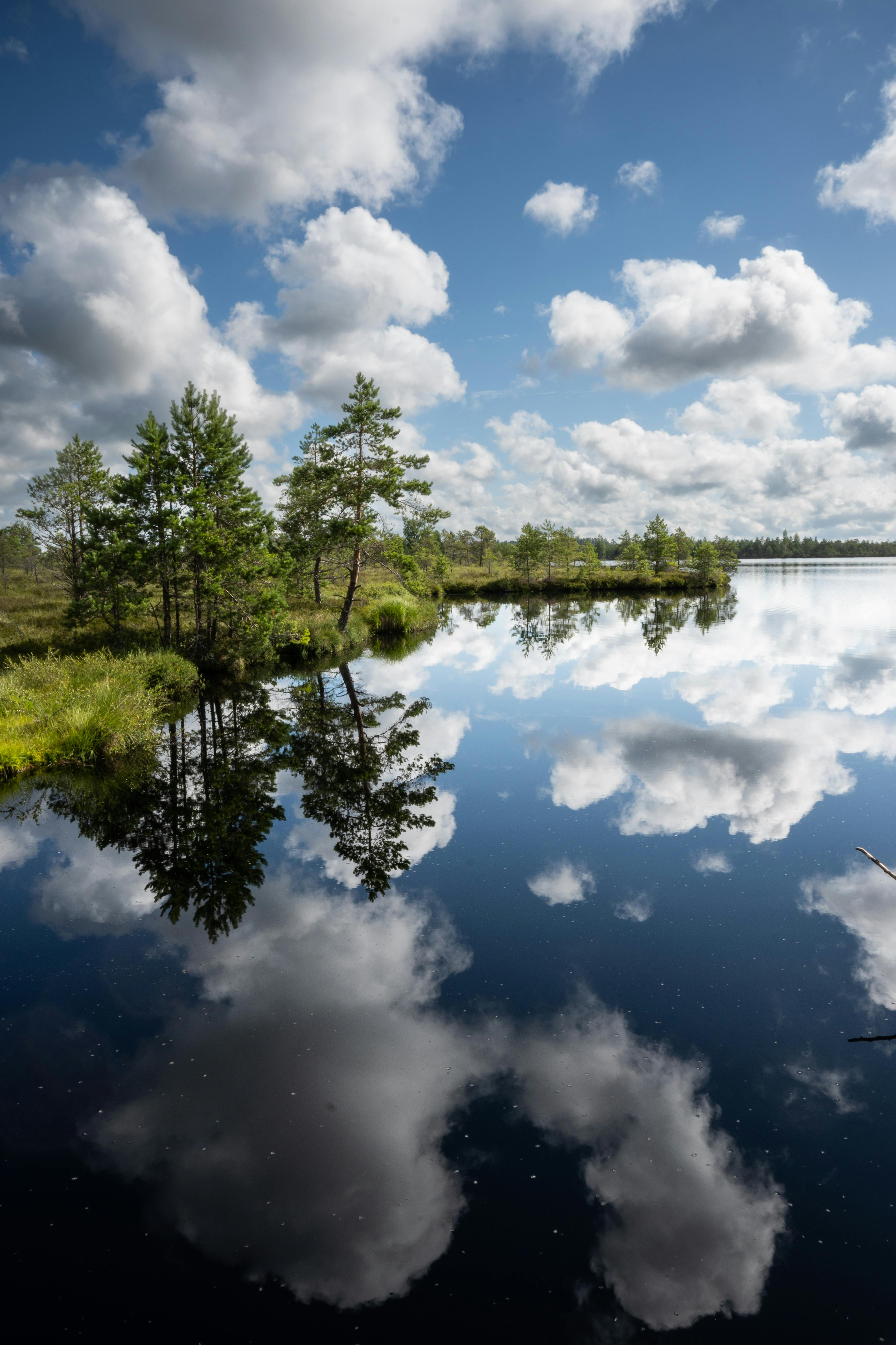 Pan+Card+Back+Side+Images Photos, Download The BEST Free Pan+Card+Back ...