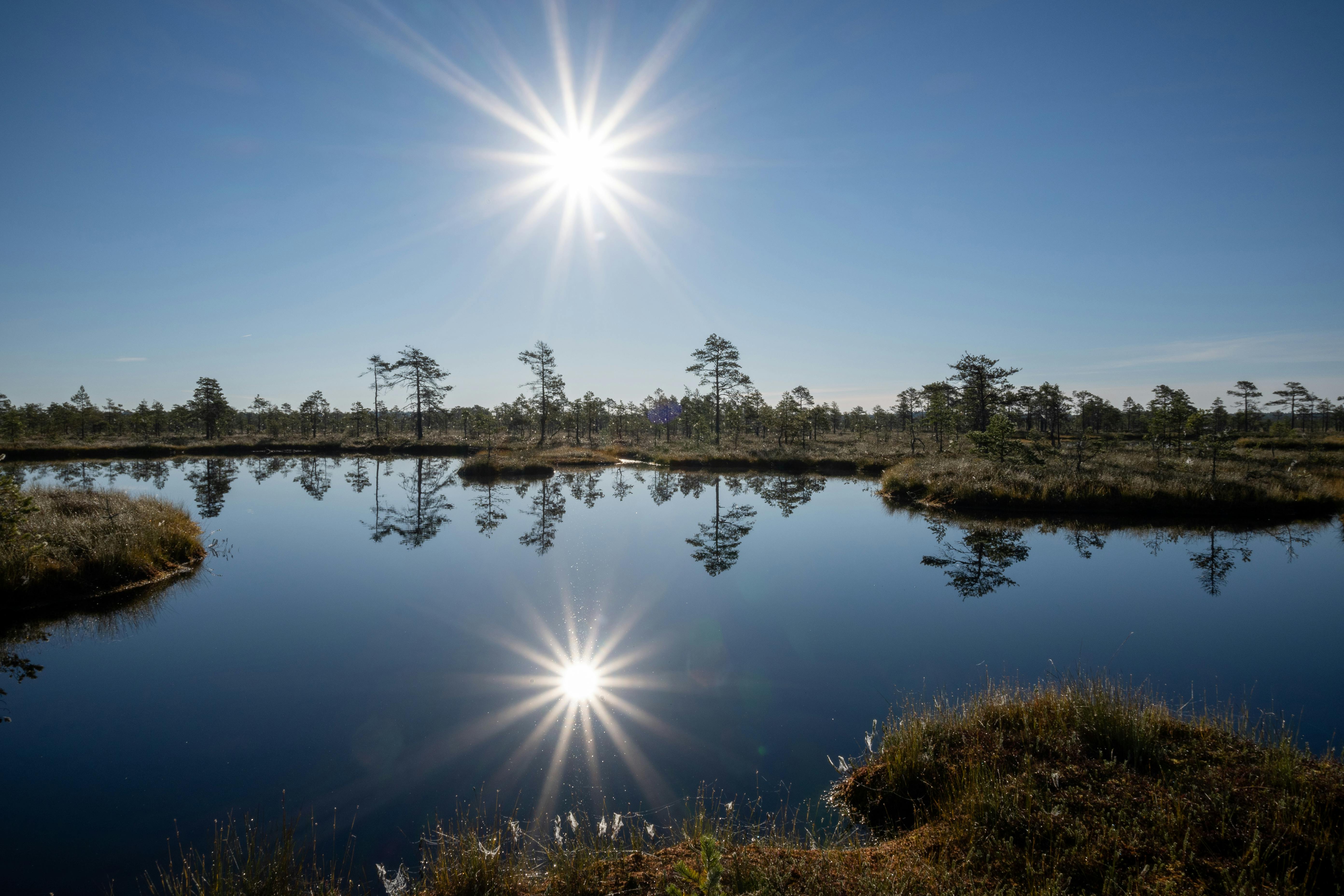 Pan+Card+Back+Side+Images Photos, Download The BEST Free Pan+Card+Back ...