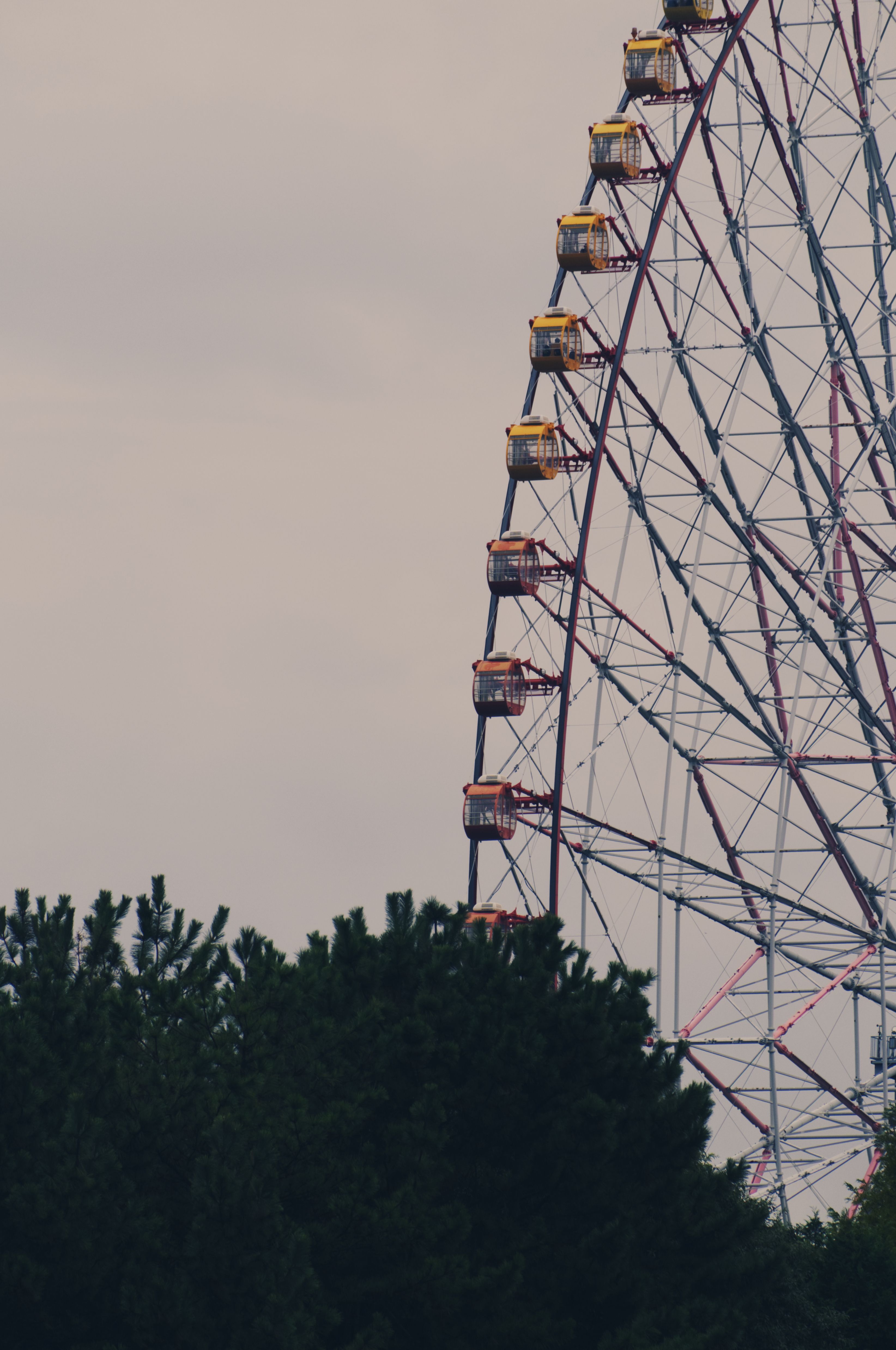 Wheel Photos, Download The BEST Free Wheel Stock Photos & HD Images