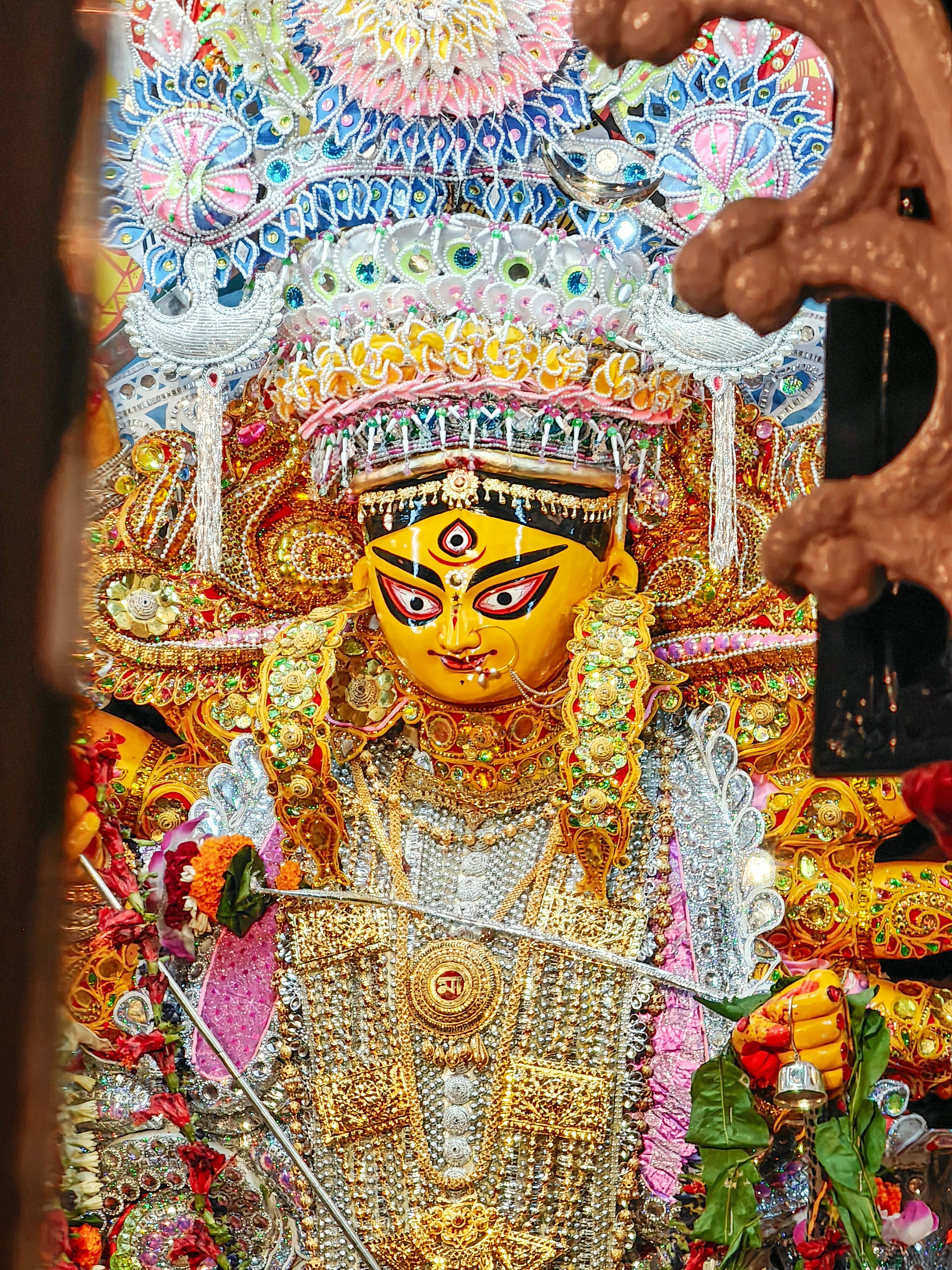 Saree Images Photos, Download The BEST Free Saree Images Stock Photos ...