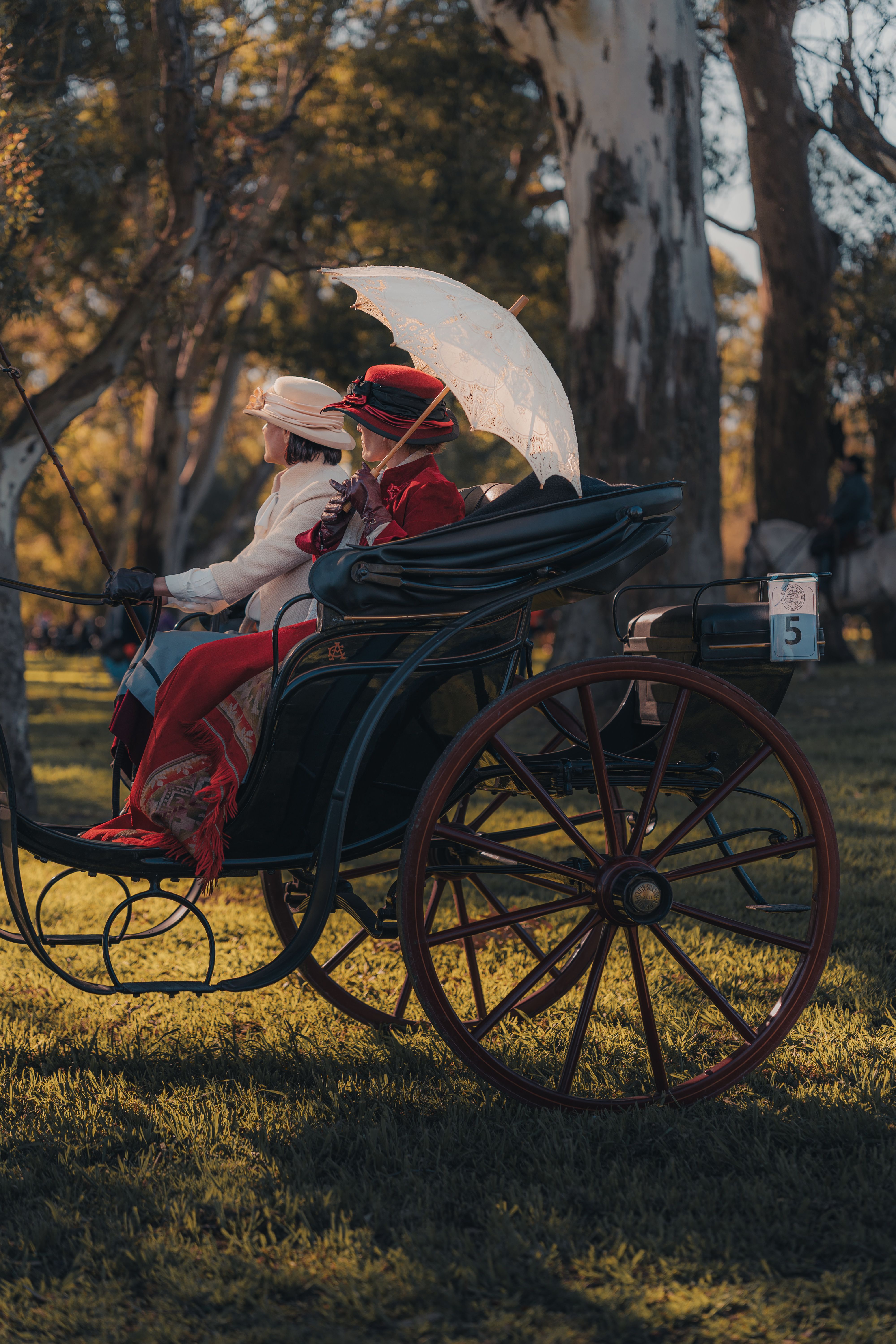 Vintage Horse-Drawn Carriage Ride in Park Setting · Free Stock Photo