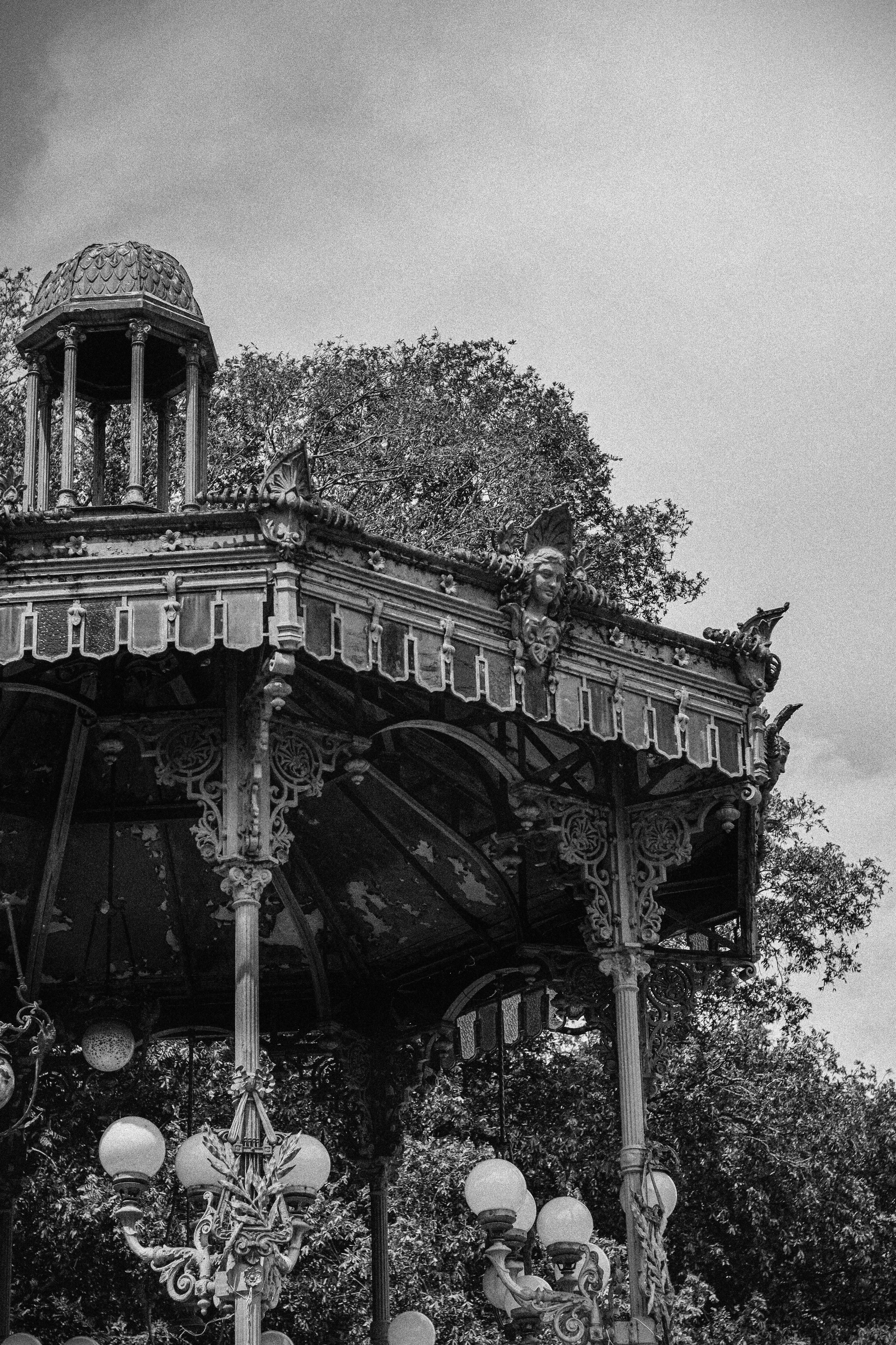 Last Day Photos, Download The BEST Free Last Day Stock Photos & HD Images