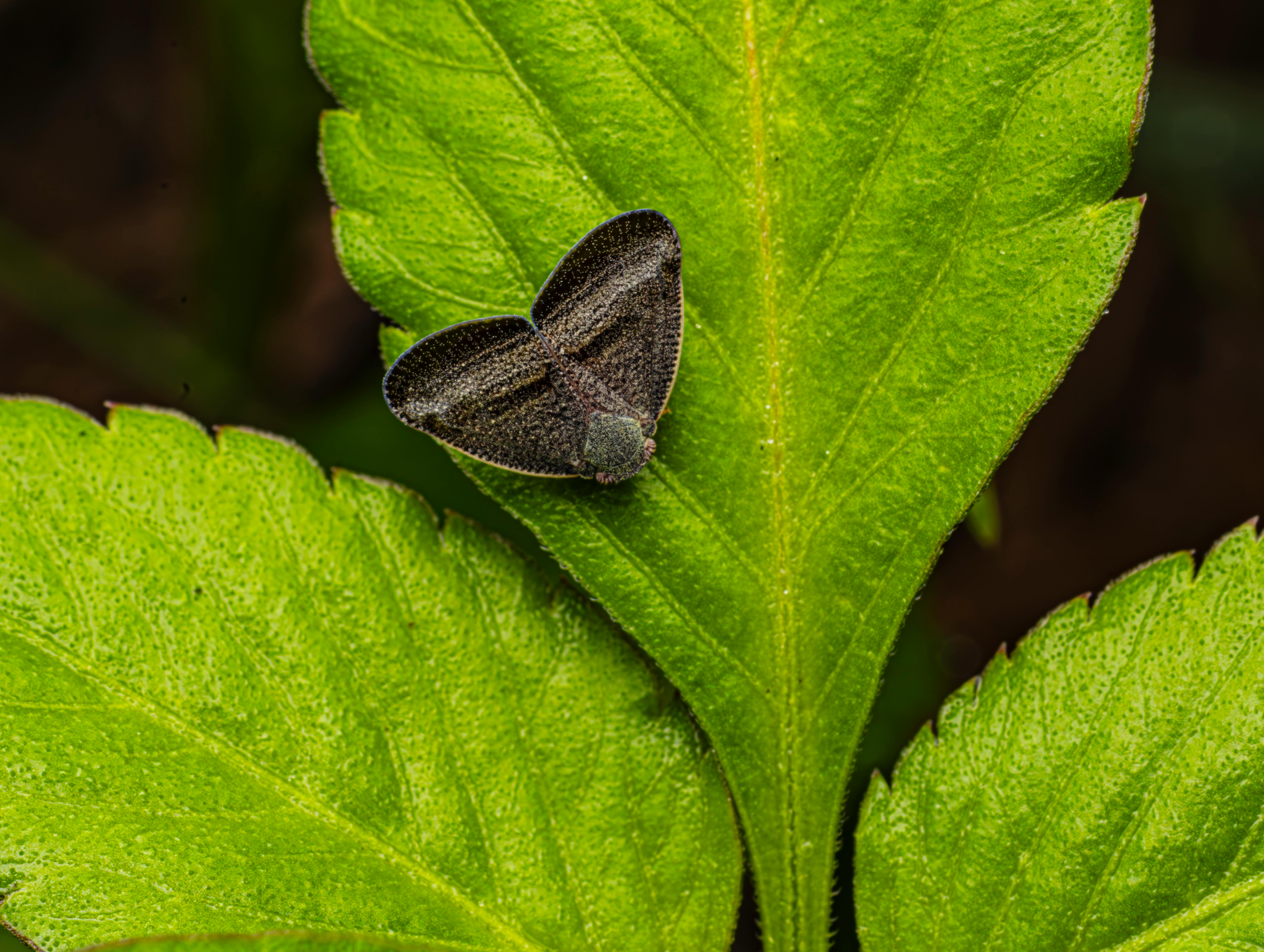 Last Day Photos, Download The BEST Free Last Day Stock Photos & HD Images