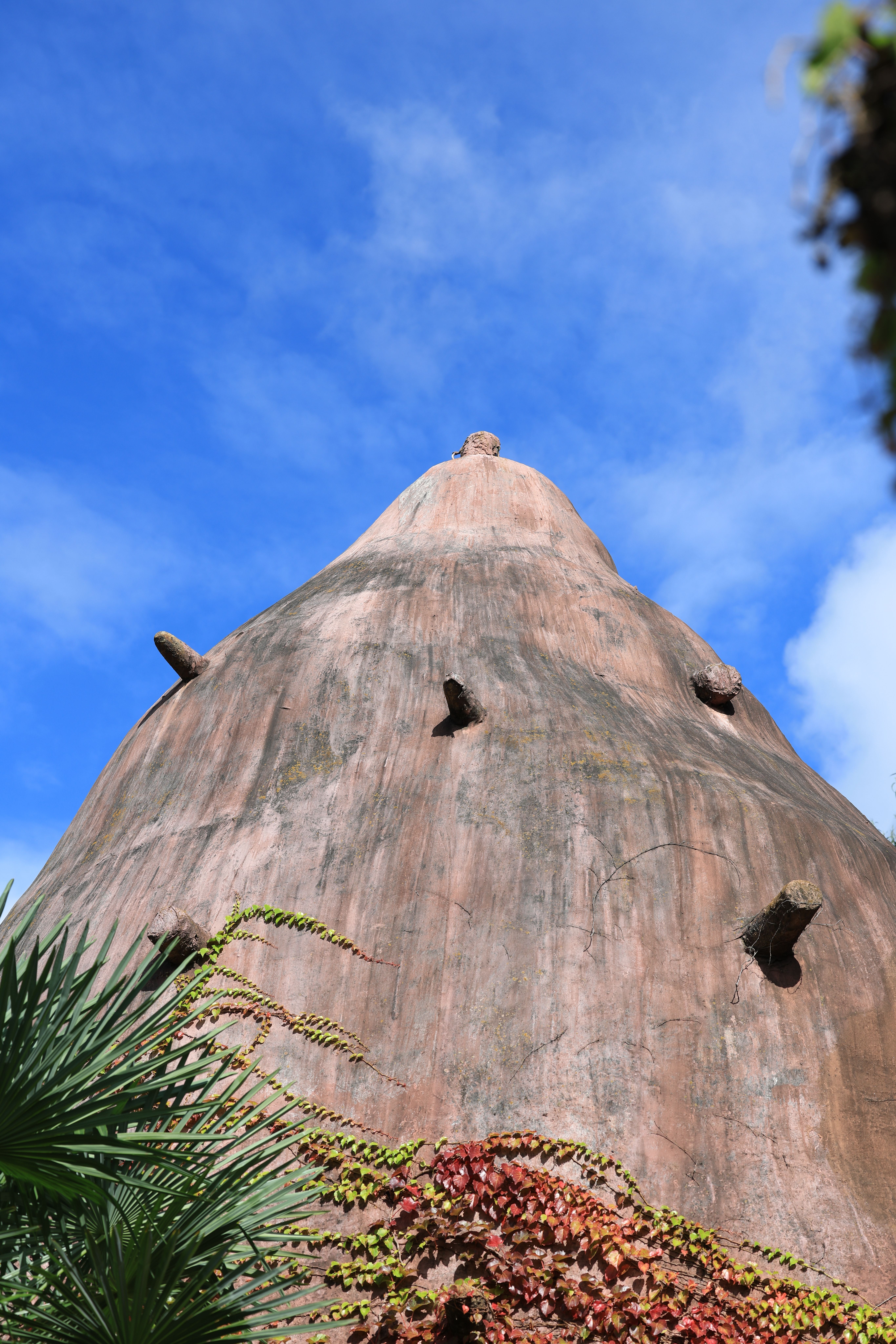 Tall Baobab Tree Against Clear Blue Sky · Free Stock Photo