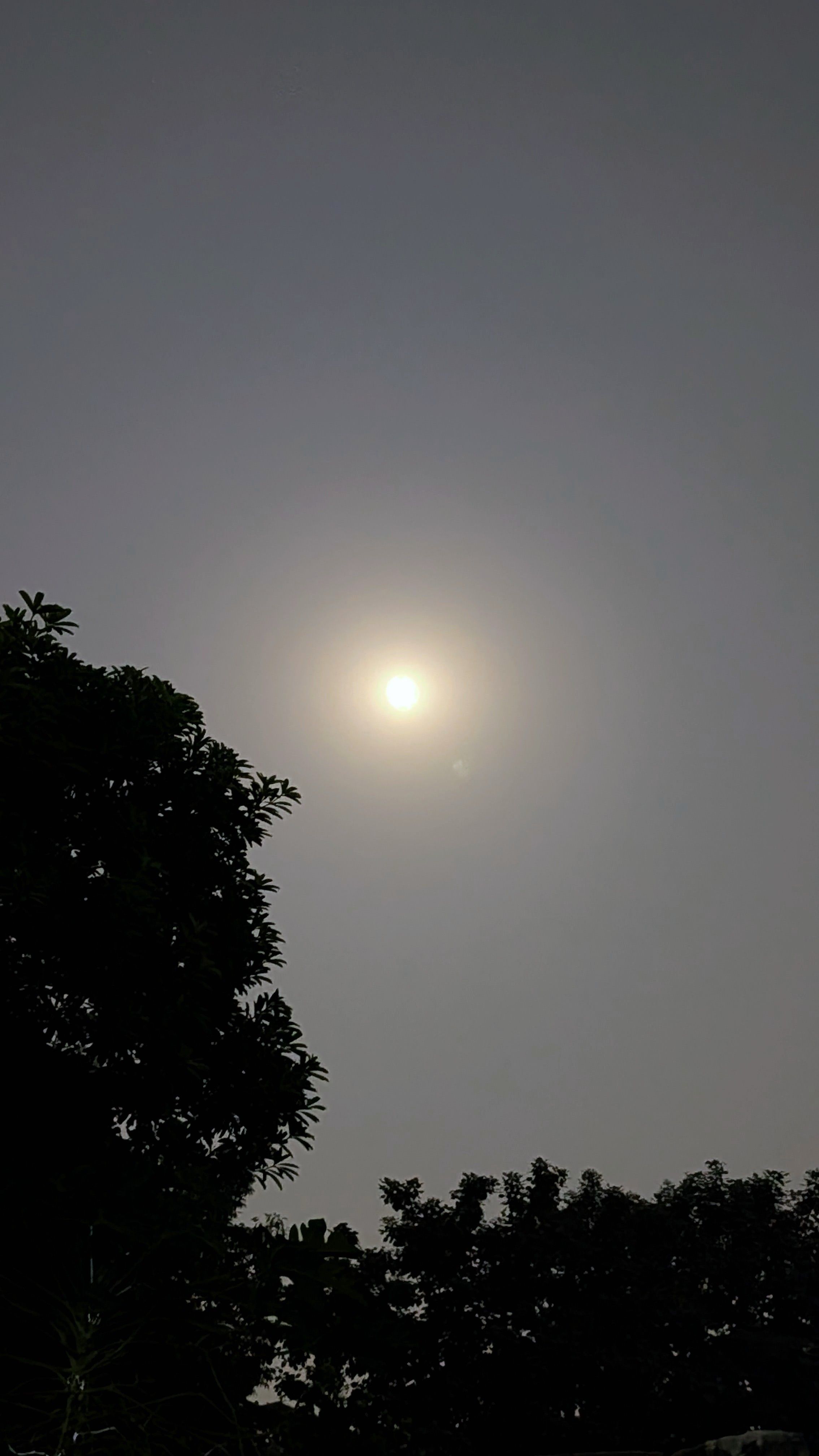 murtaza umar - Photography