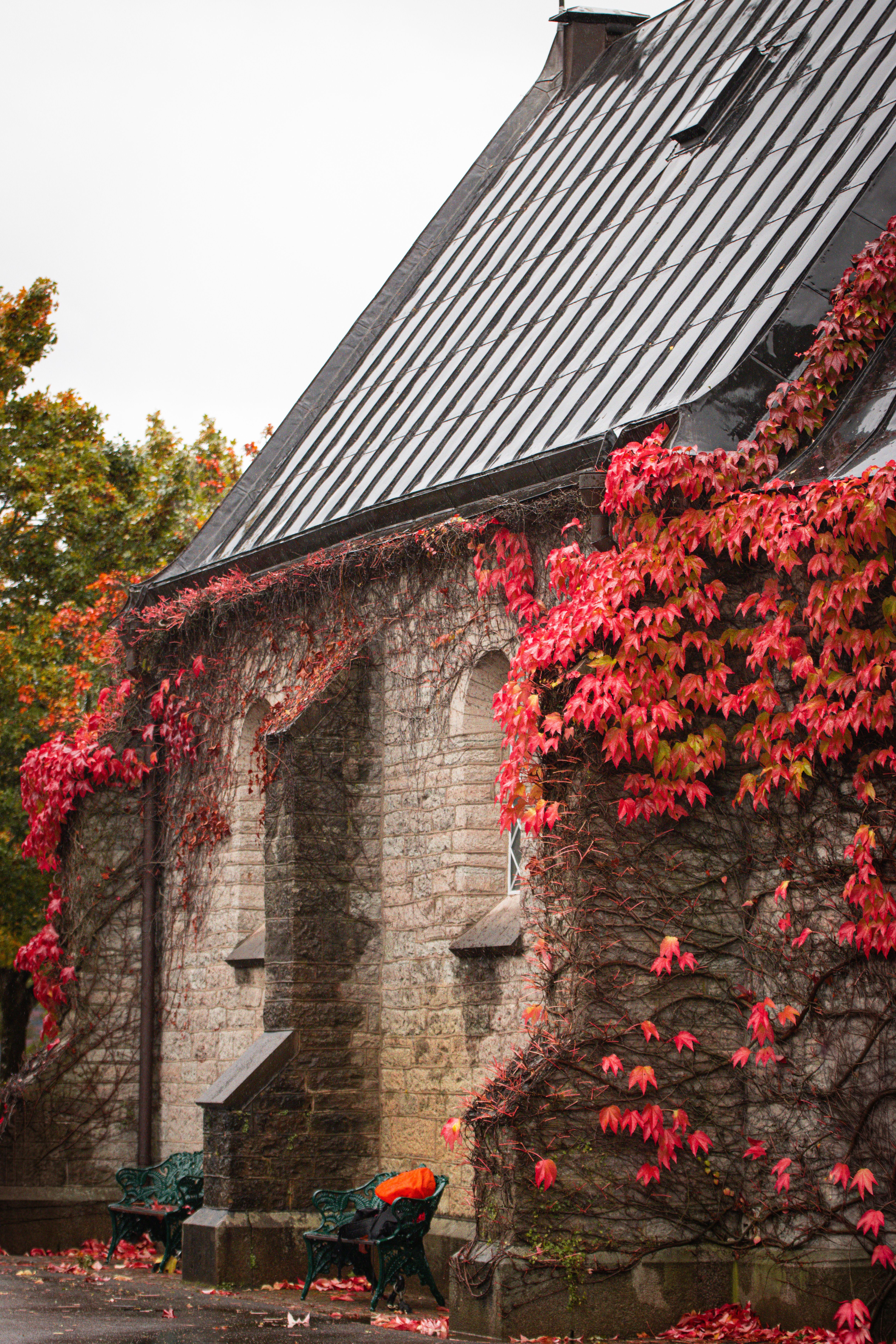 Historic Church with Autumn Vines in Jönköping · Free Stock Photo