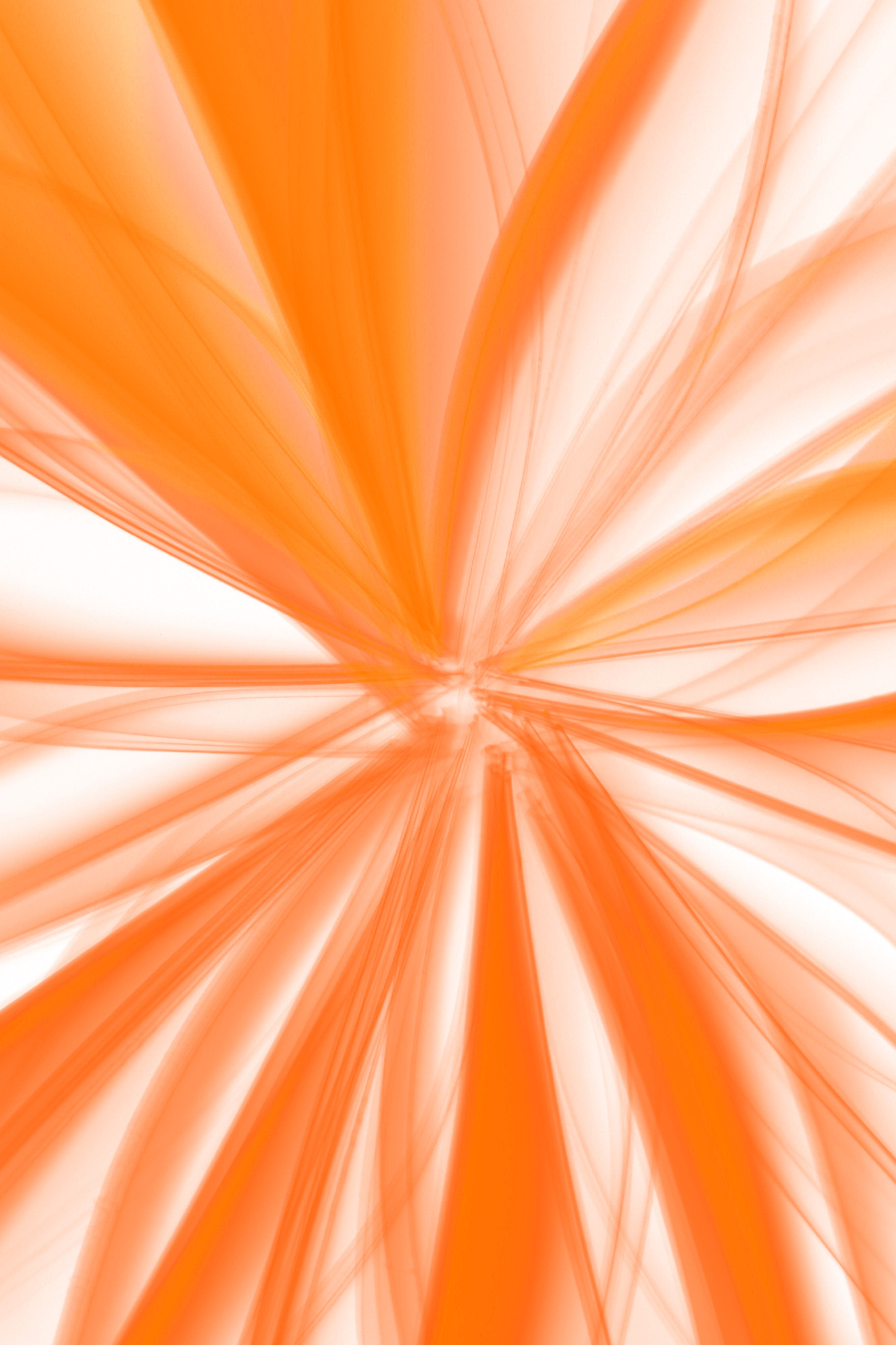 Background Design Photos, Download The BEST Free Background Design ...
