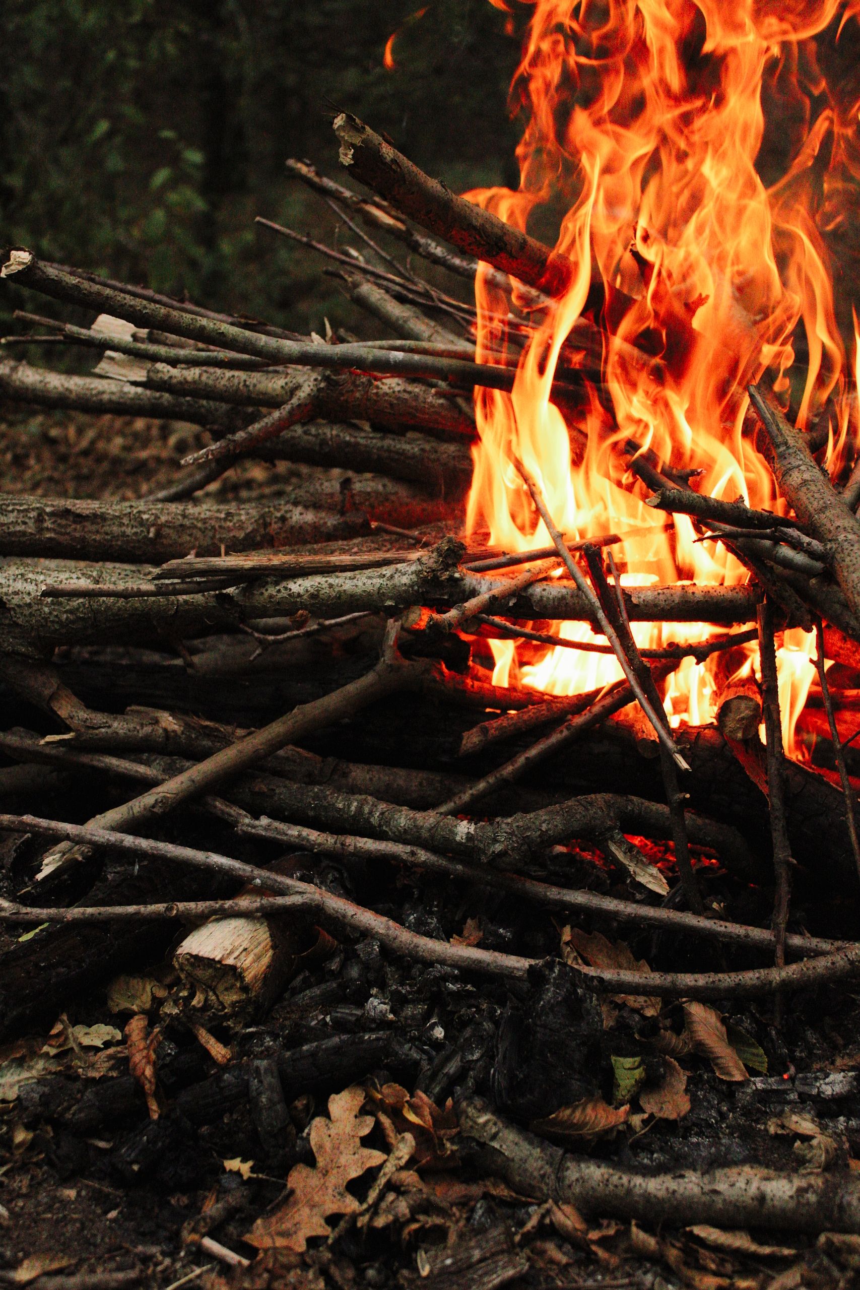 Cartoon Fire Photos, Download The BEST Free Cartoon Fire Stock Photos ...