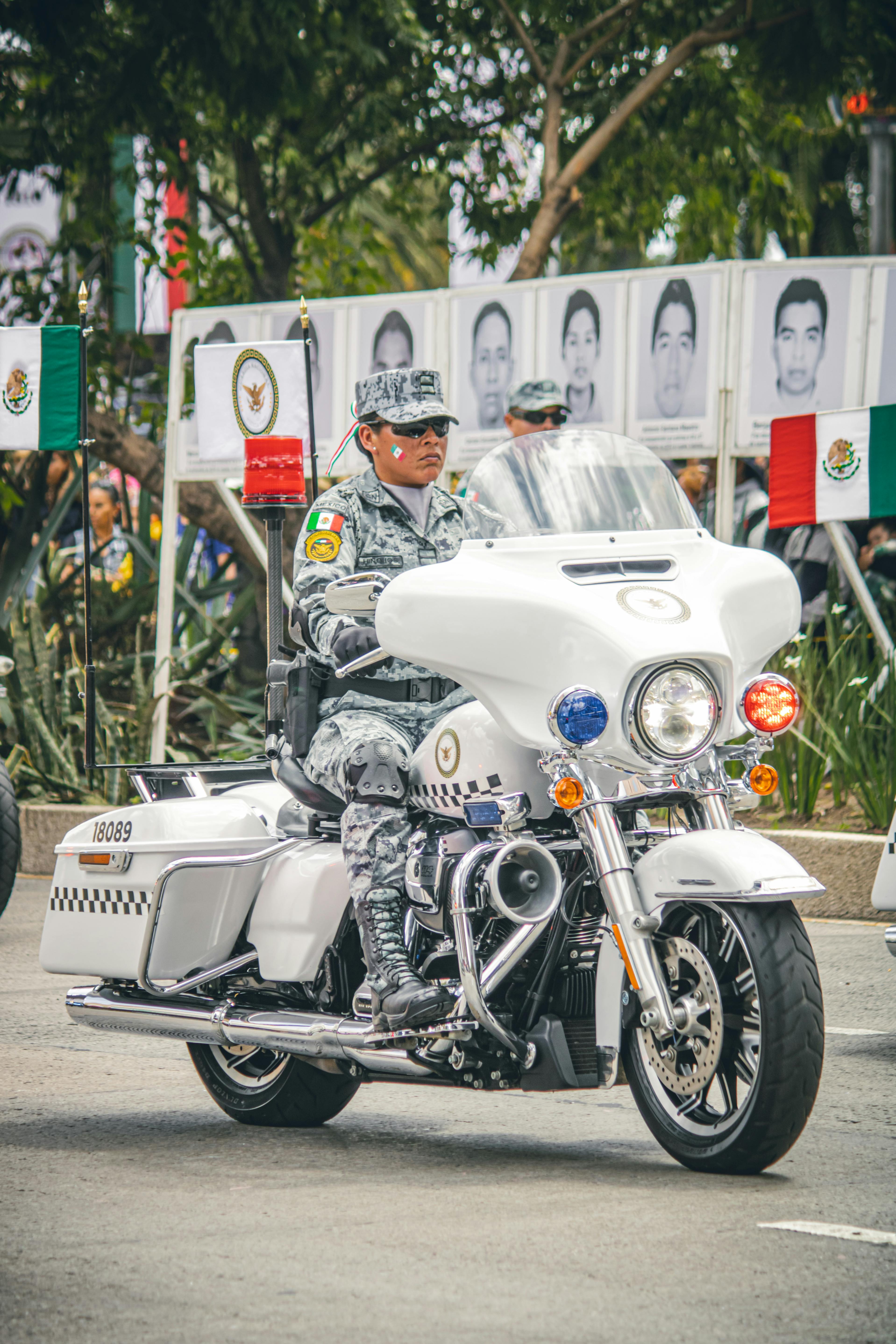 Mendel's Law Of Inheritance Photos, Download The BEST Free Mendel's Law ...