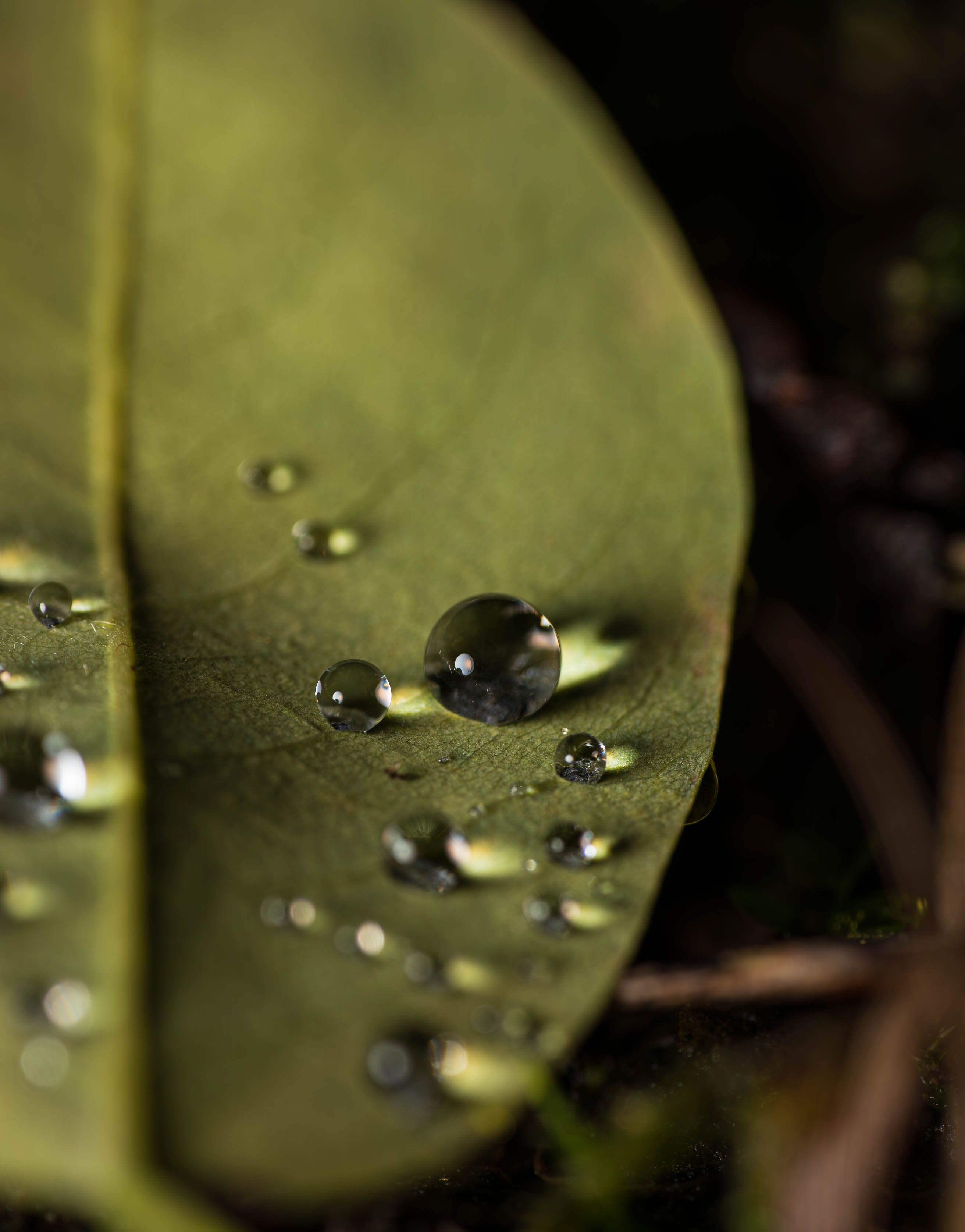 Transparent Background Photos, Download The BEST Free Transparent ...