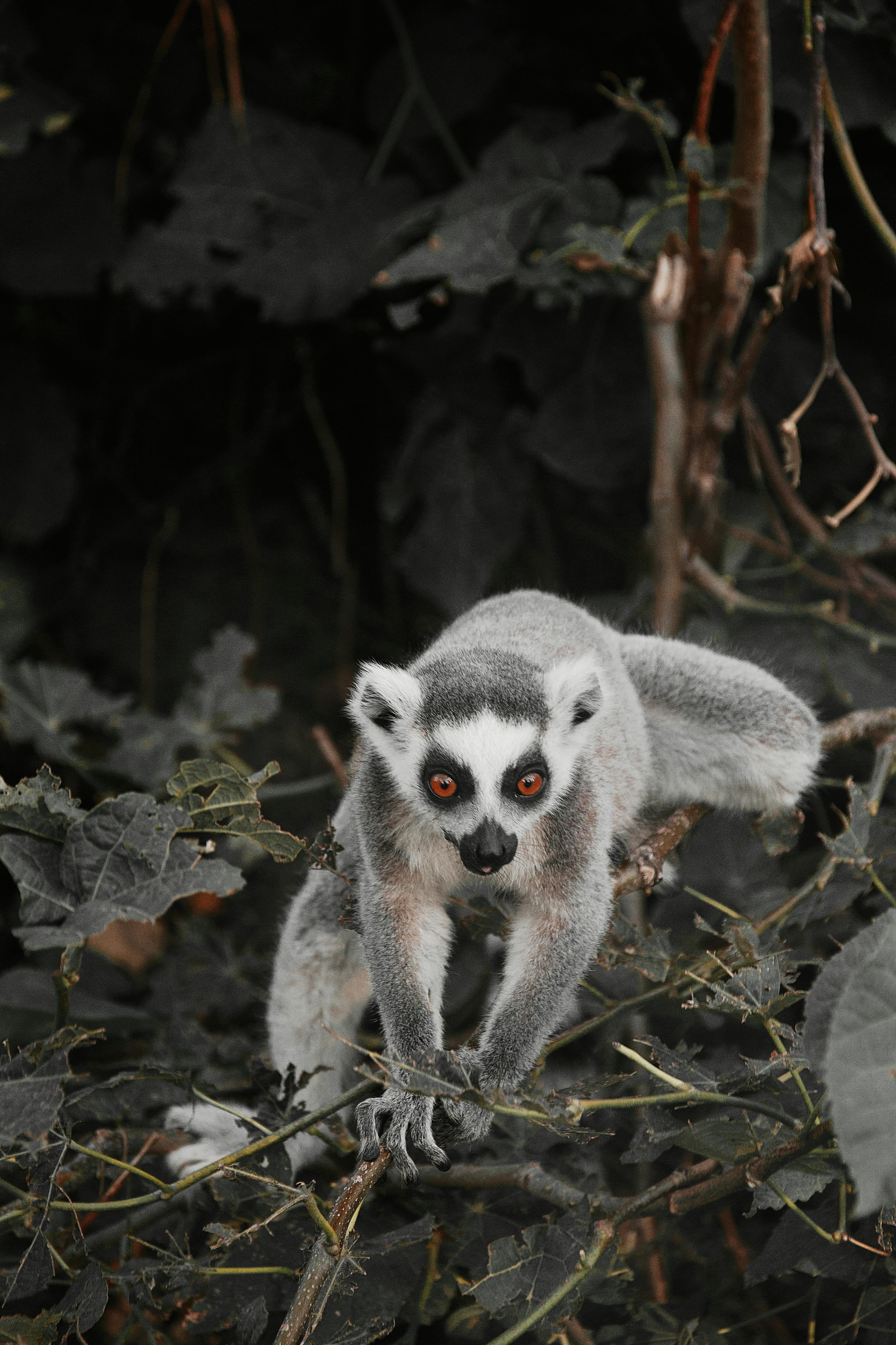 601.943+ Fotos y Imágenes de Andrey+tv+fondos+tiktok+4k Gratis · Banco ...