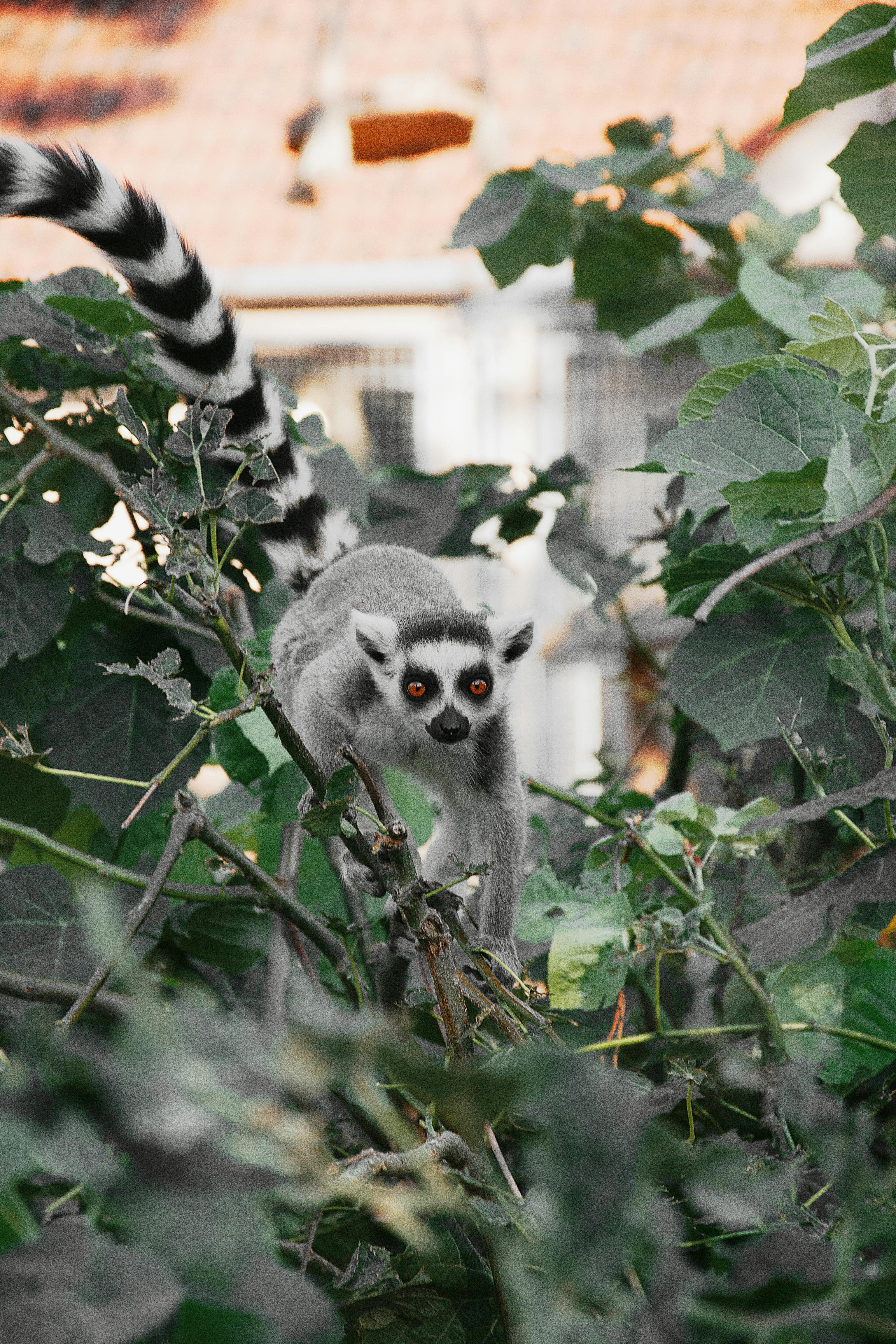 601.943+ Fotos y Imágenes de Andrey+tv+fondos+tiktok+4k Gratis · Banco ...