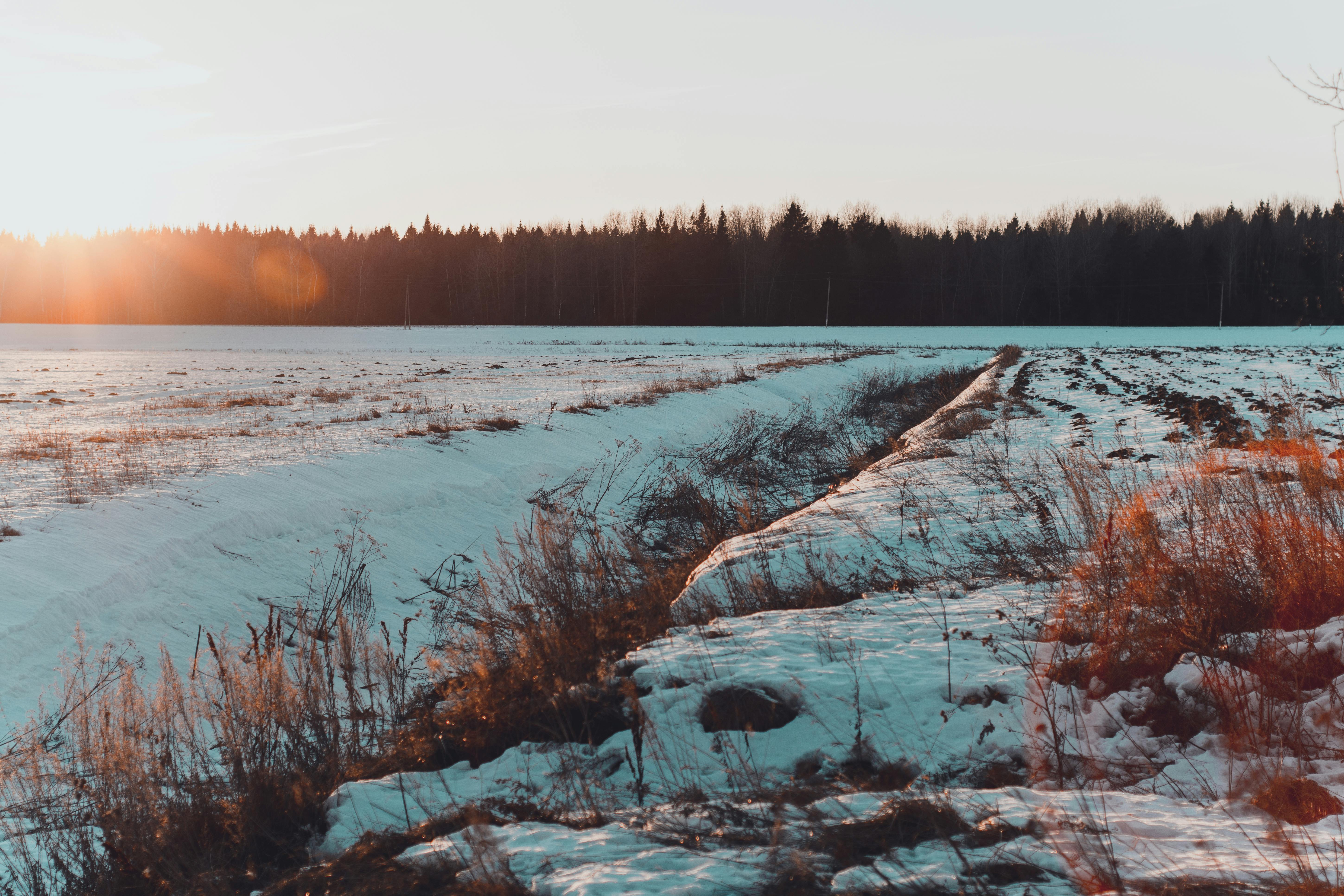 Photo Of Snow Covered Field During Dawn · Free Stock Photo
