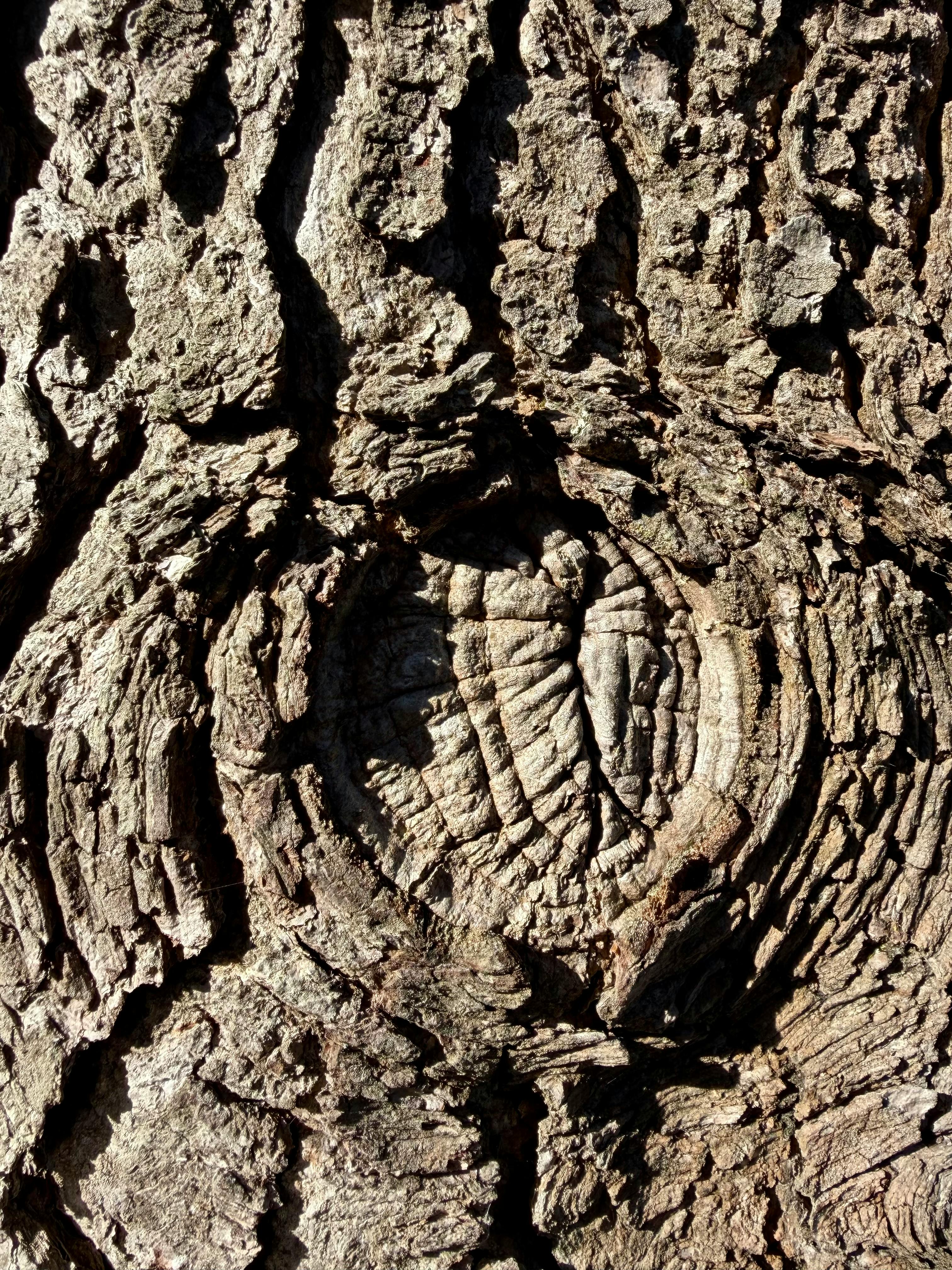 Wood Inlay Weeding Rings Photos, Download The BEST Free Wood Inlay ...