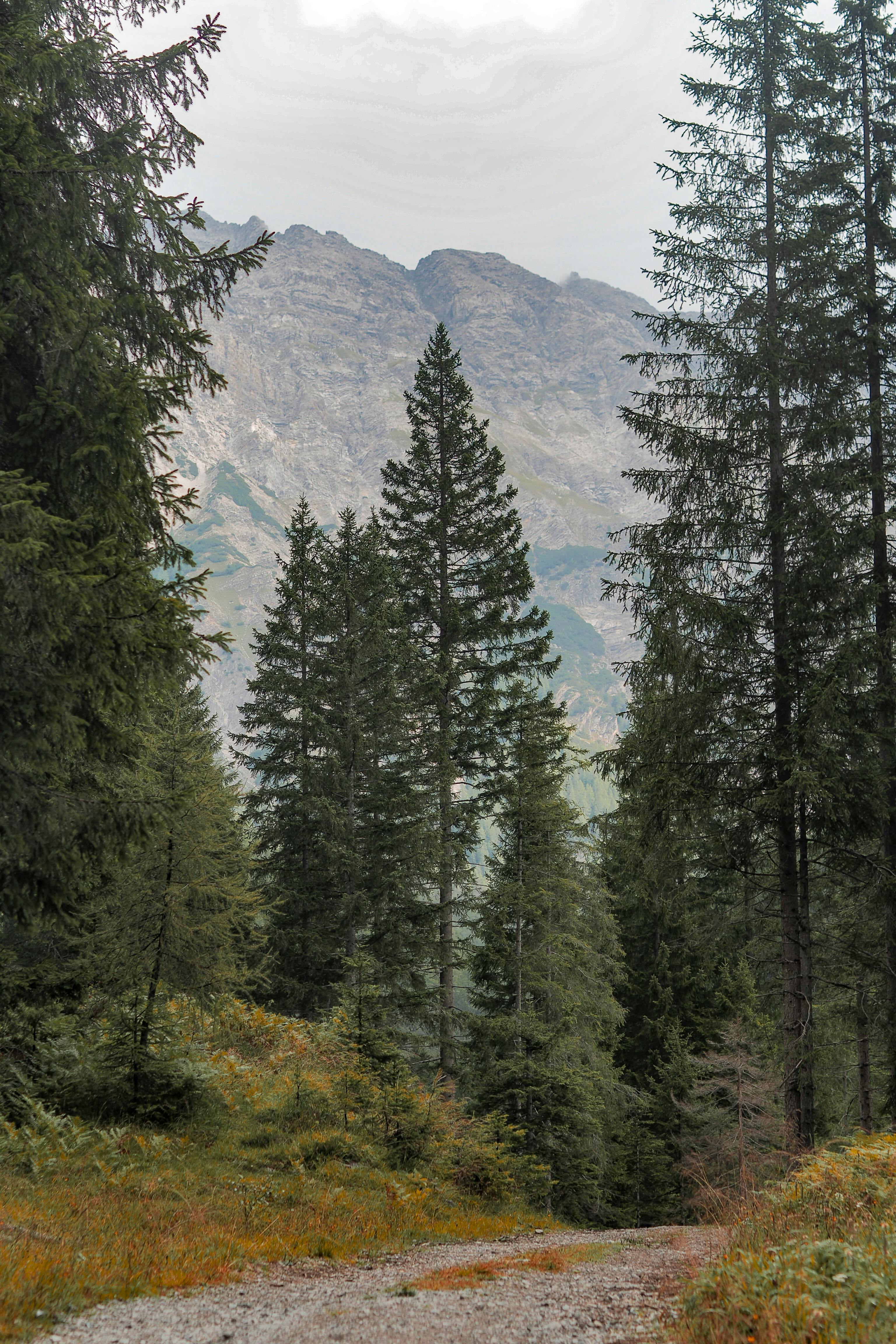 Laura Chouette - Photography