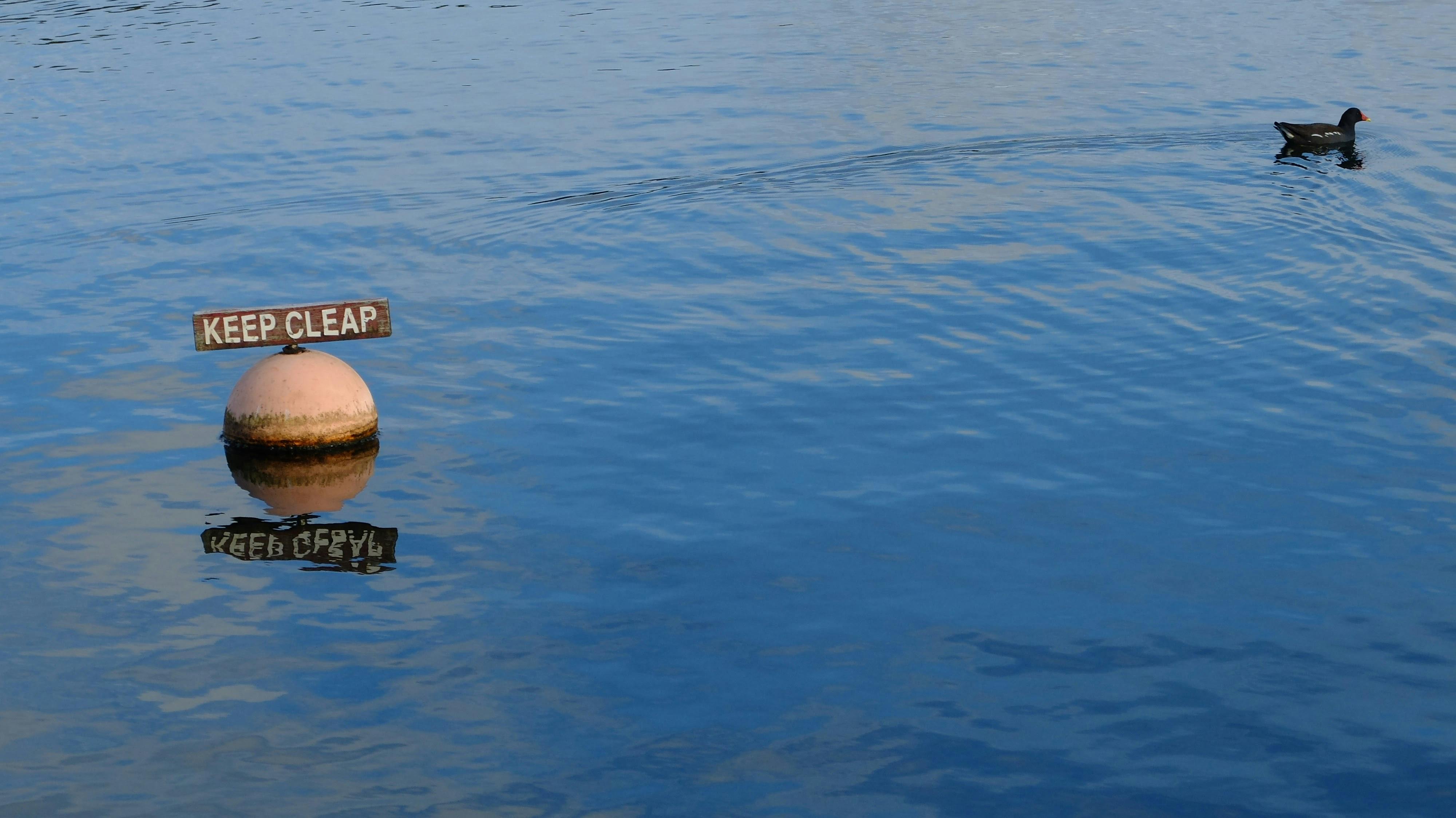 Water Safety Photos, Download The BEST Free Water Safety Stock Photos ...