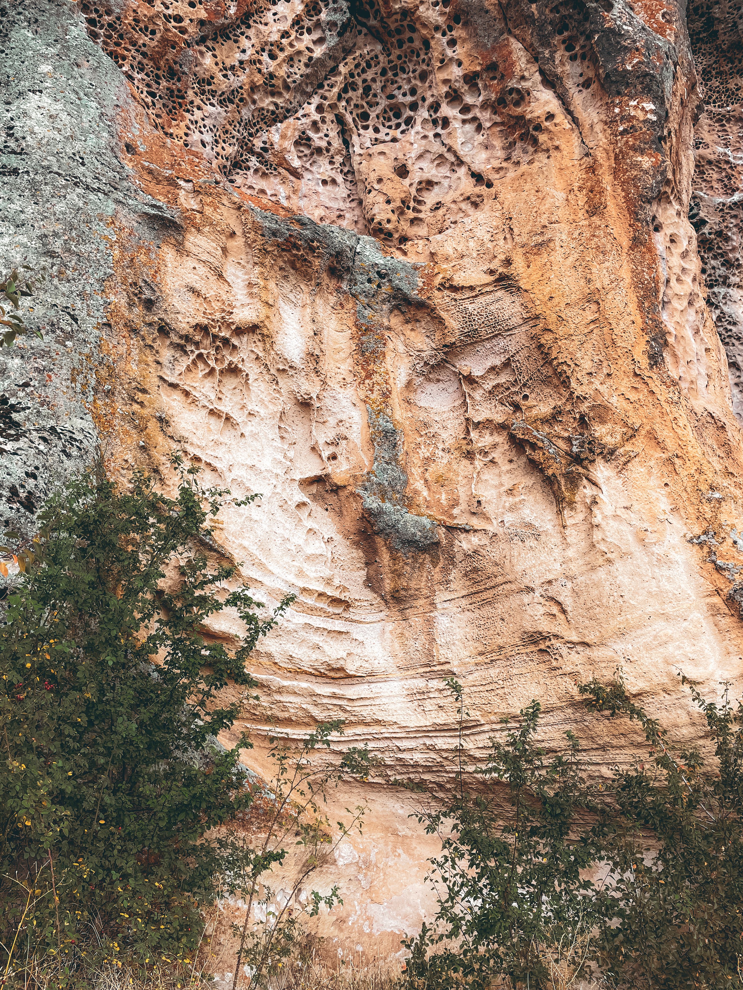 Eroded Rock Face with Vegetation in Turkey · Free Stock Photo