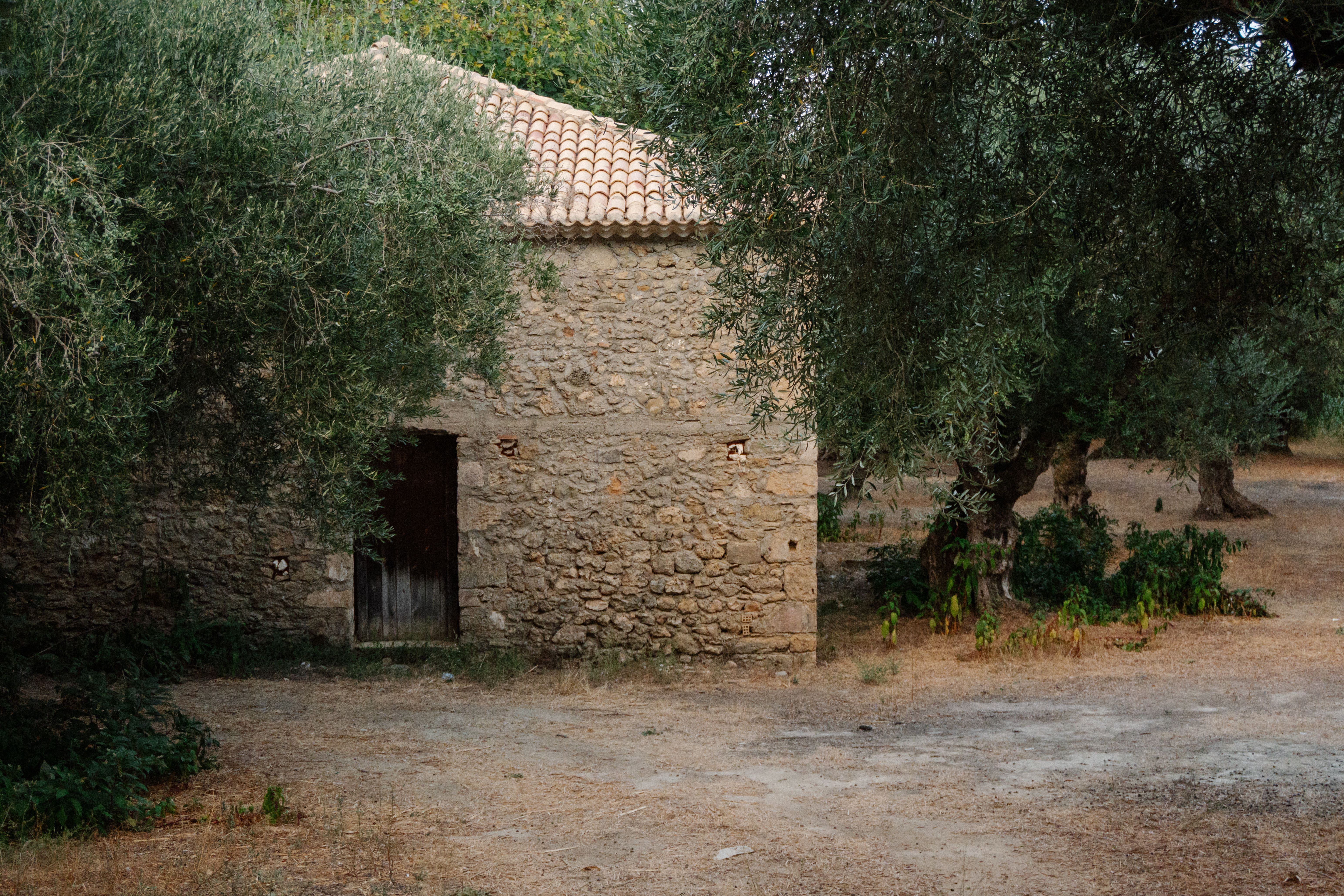 Rustic Stone Building in Olive Grove, Zakynthos · Free Stock Photo