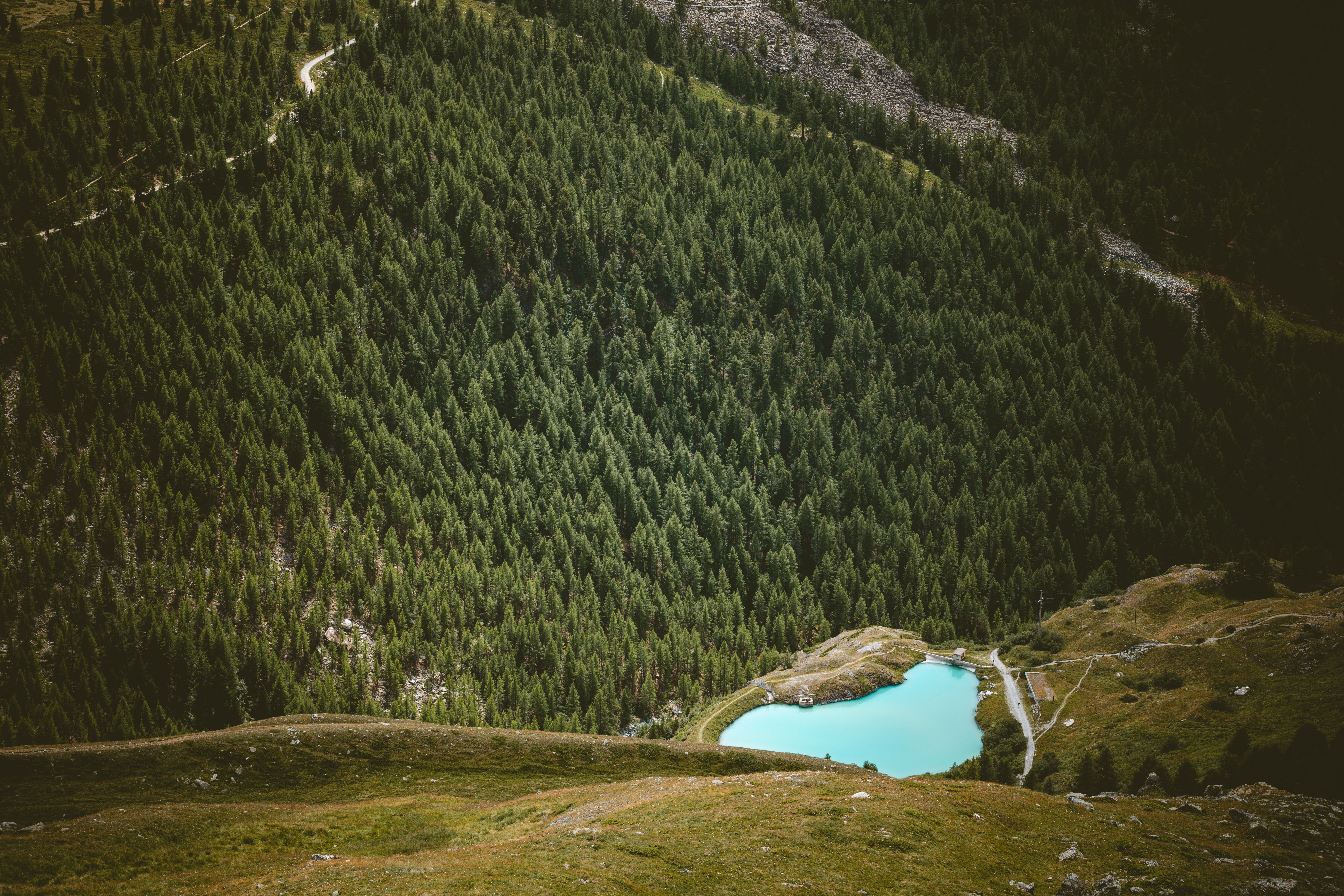 Aerial View of Swiss Alpine Forest and Lake · Free Stock Photo