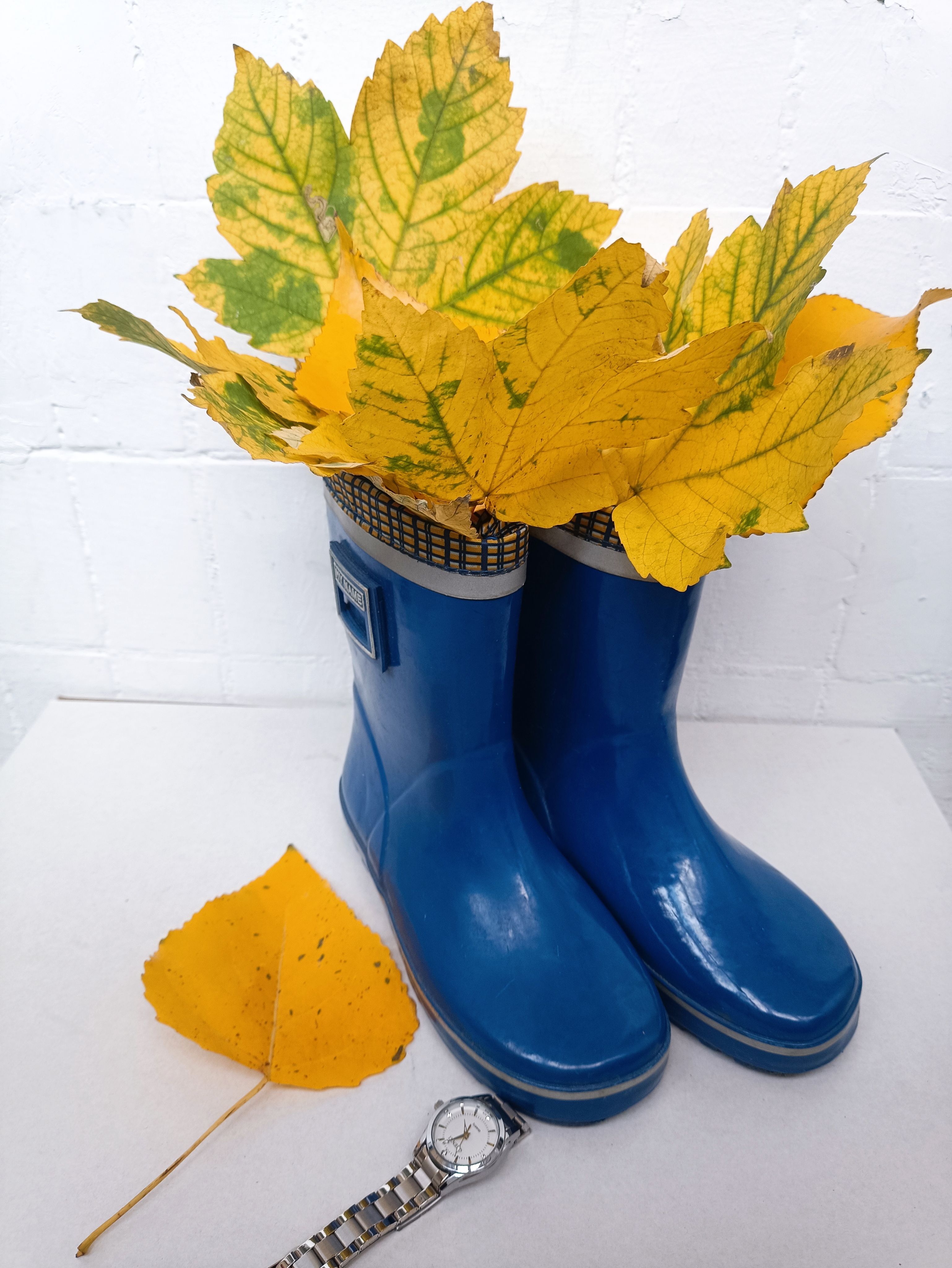 Autumn Leaves in Blue Boots Still Life Photo · Free Stock Photo