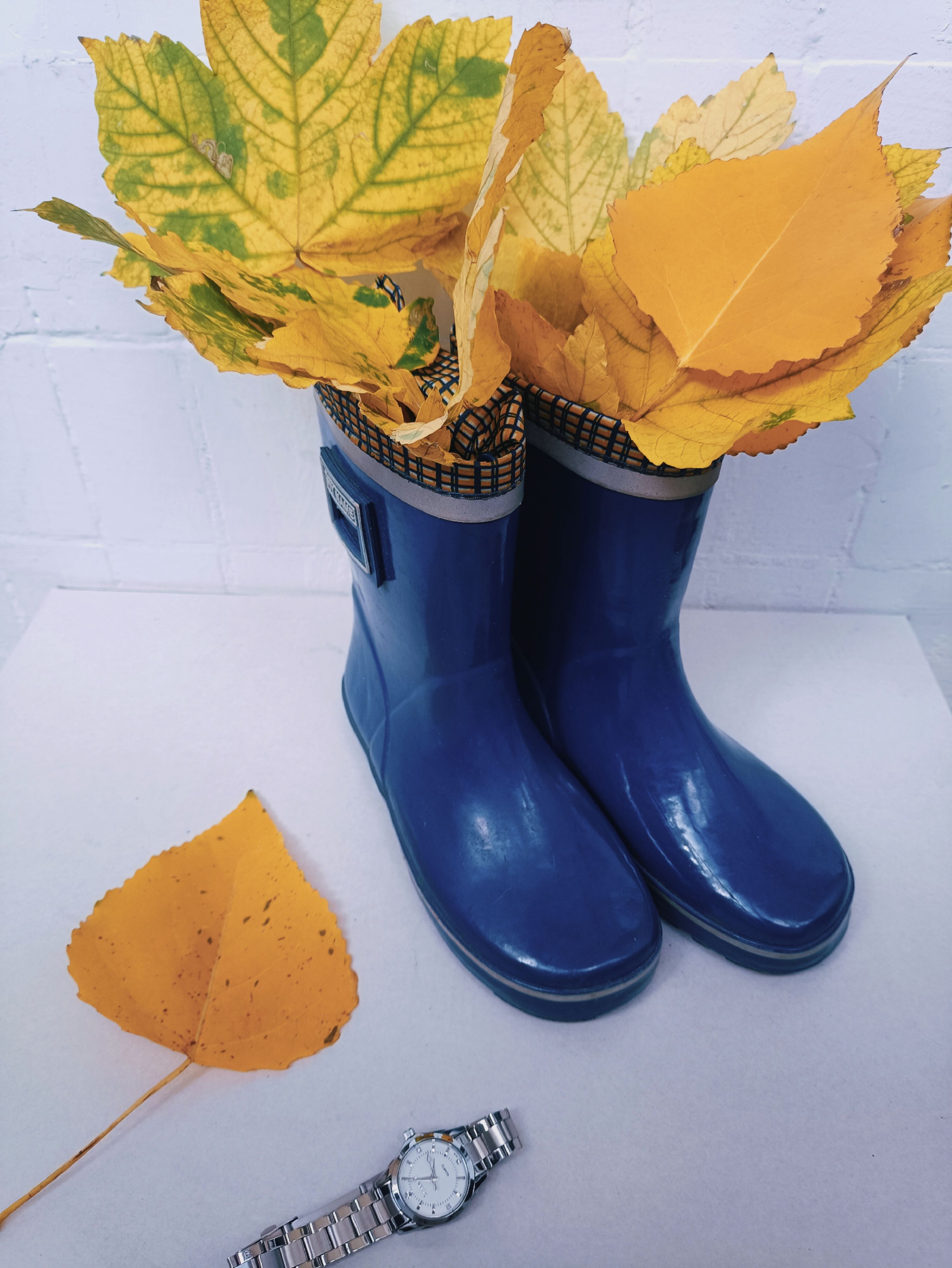 Creative Autumn Still Life with Boots and Leaves · Free Stock Photo