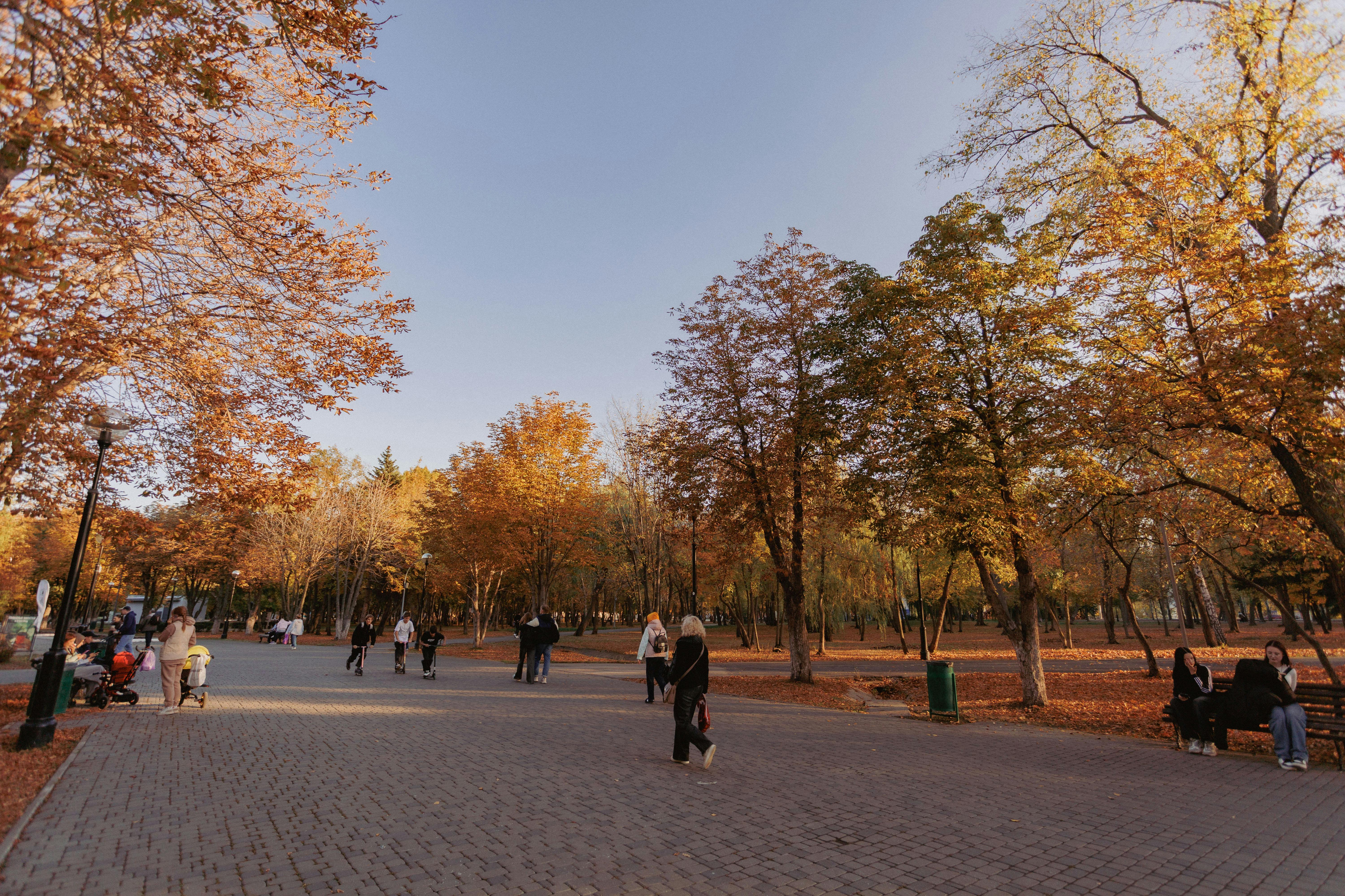 November Landscape Photos, Download The BEST Free November Landscape ...