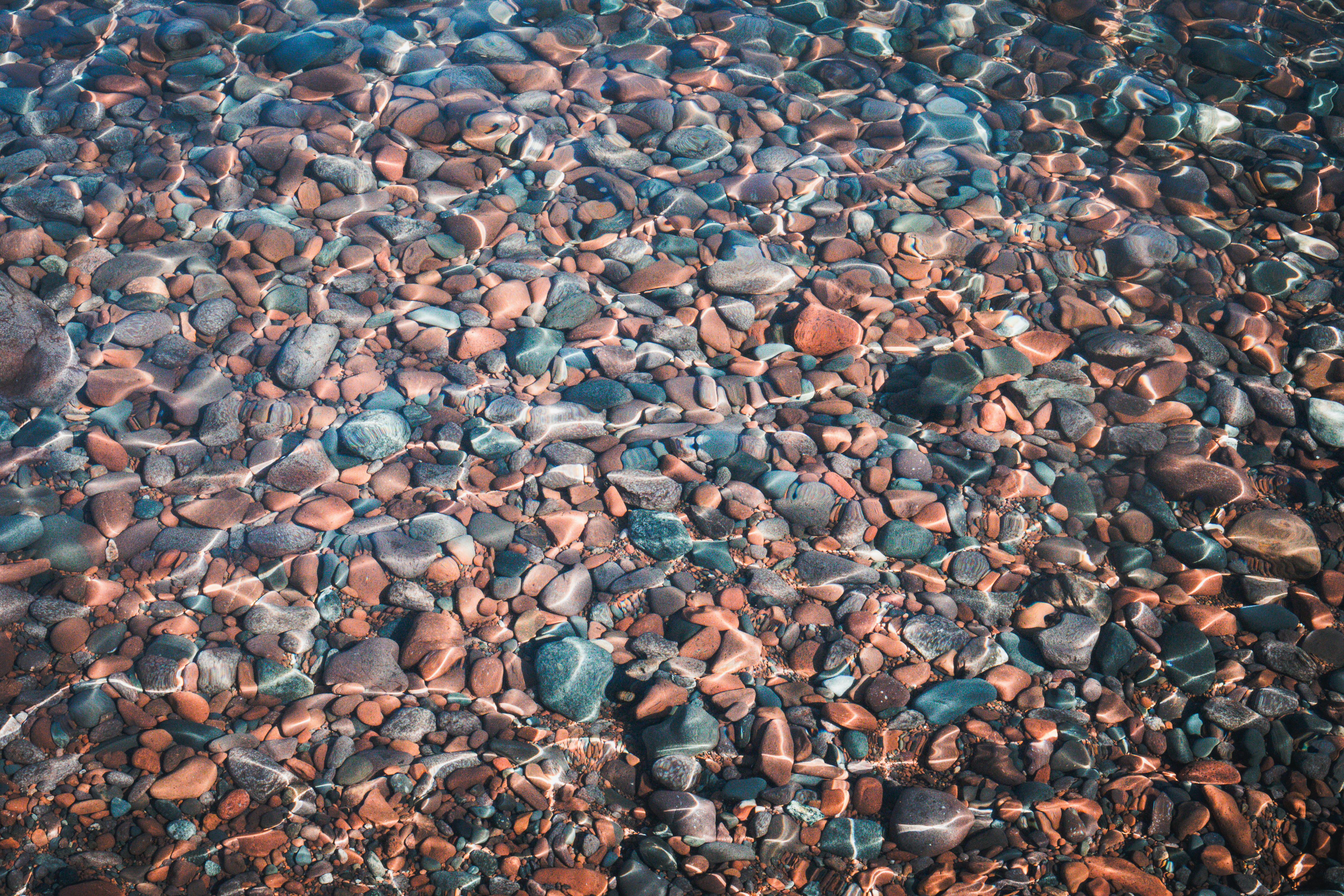 Translucent Photos, Download The BEST Free Translucent Stock Photos ...