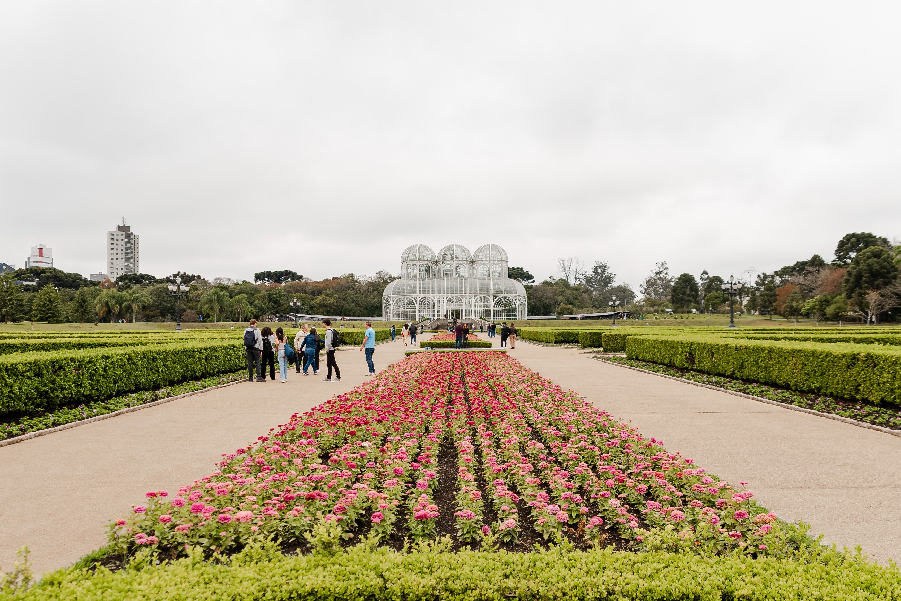 Lush Botanical Garden in Curitiba, Brazil · Free Stock Photo