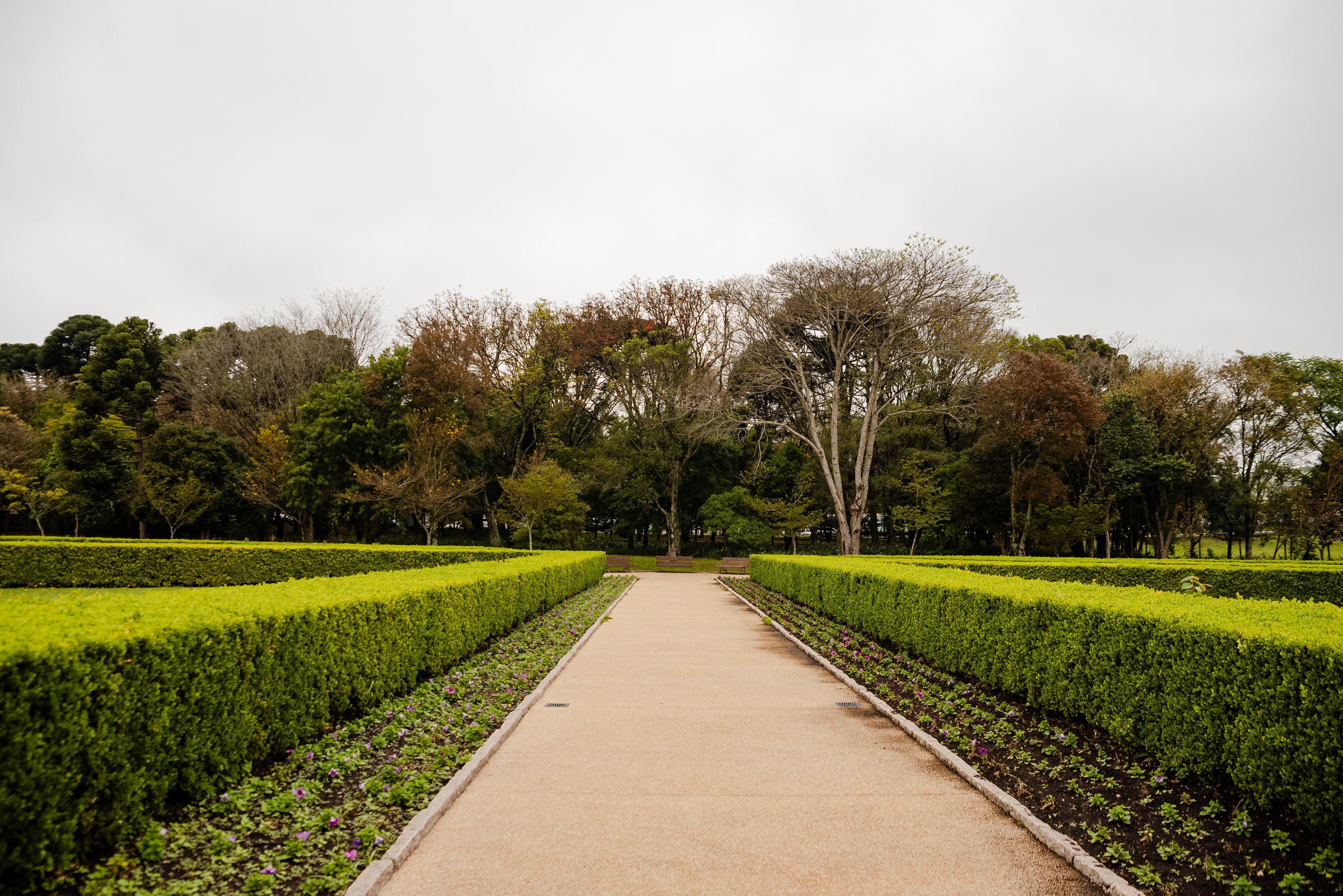 Pathway Through Lush Botanical Garden Scenery · Free Stock Photo