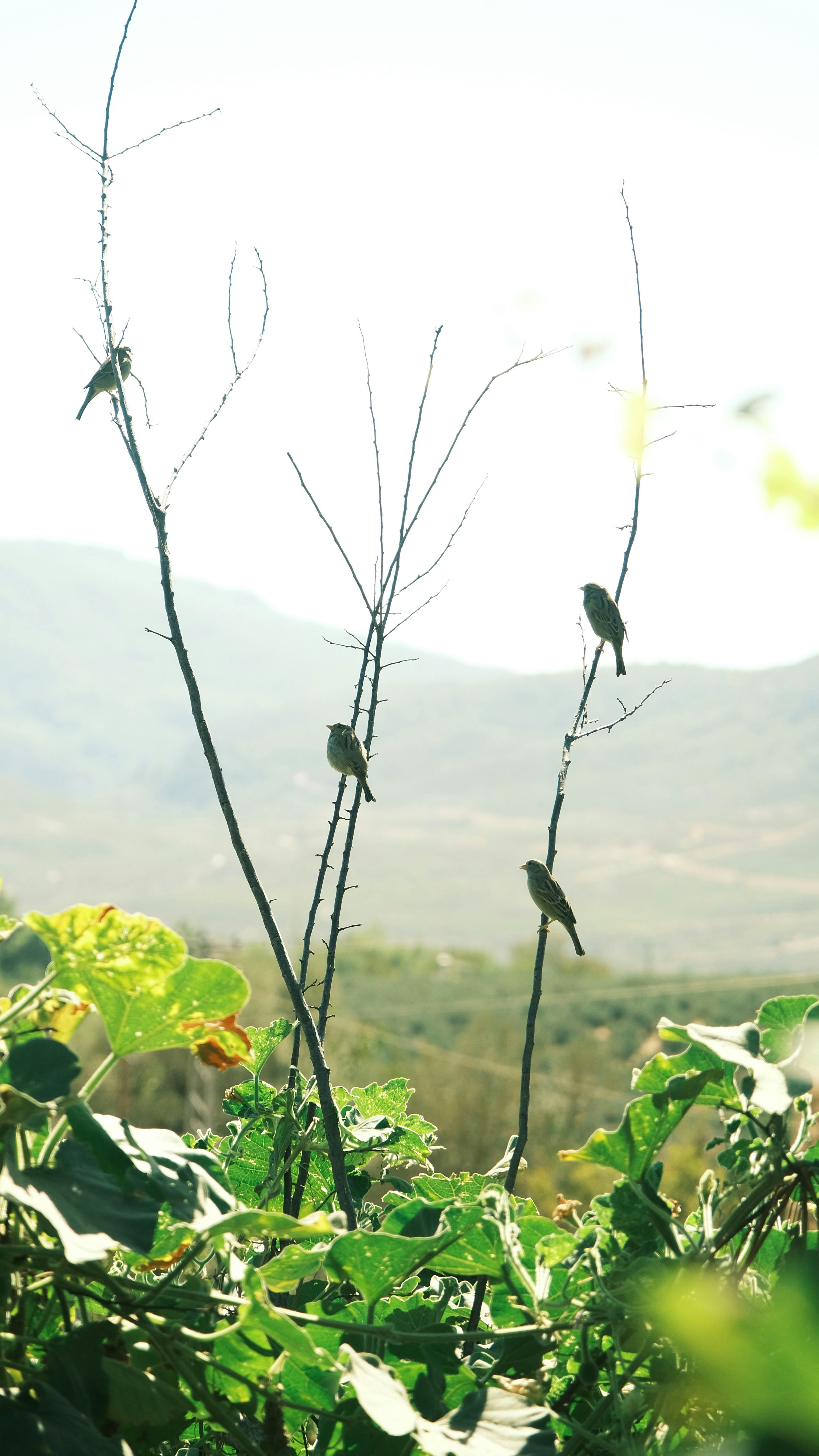 Horror+Slasher+Background+Wallpaper Photos, Download The BEST Free ...