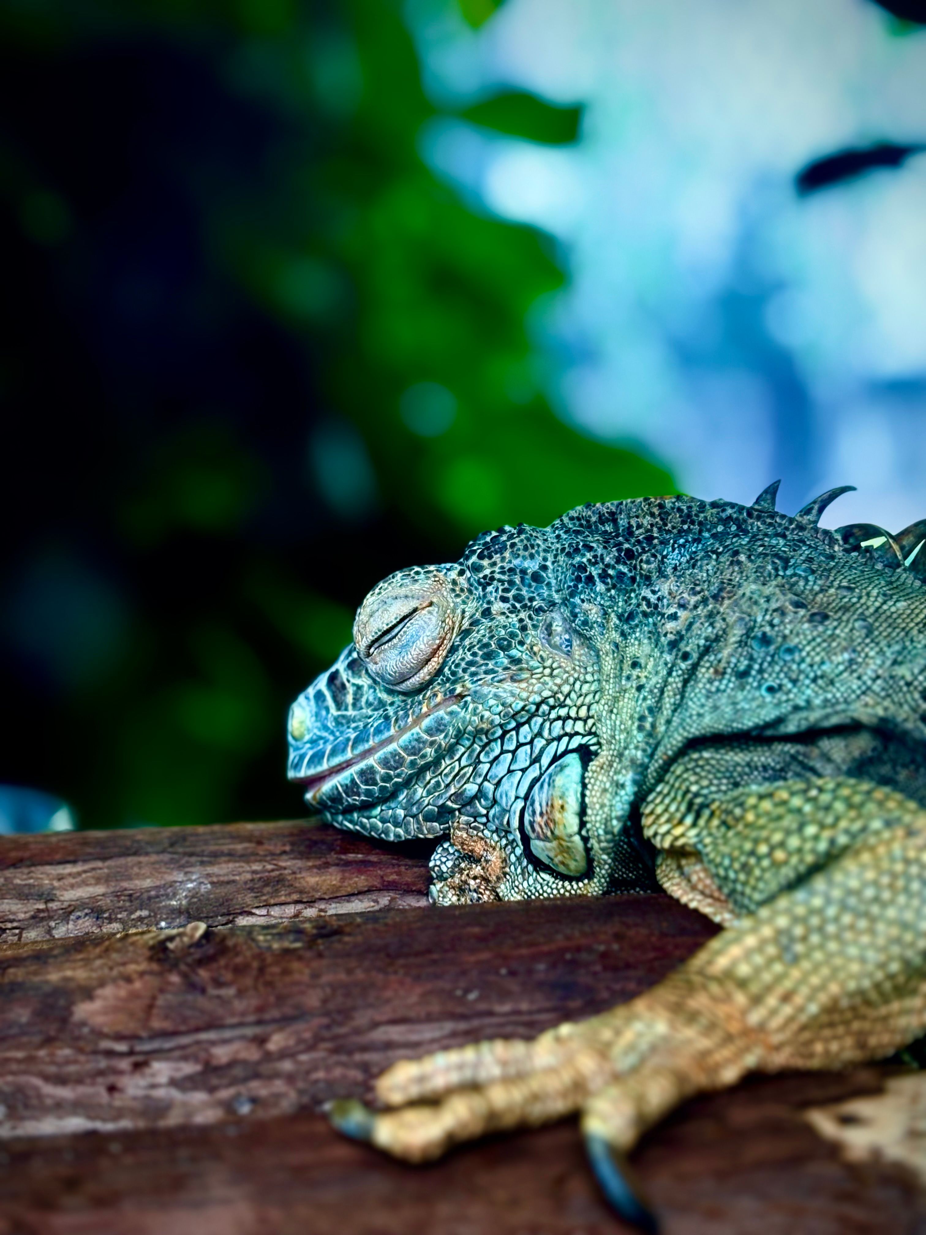Living And Non Living Things Photos, Download The BEST Free Living And ...