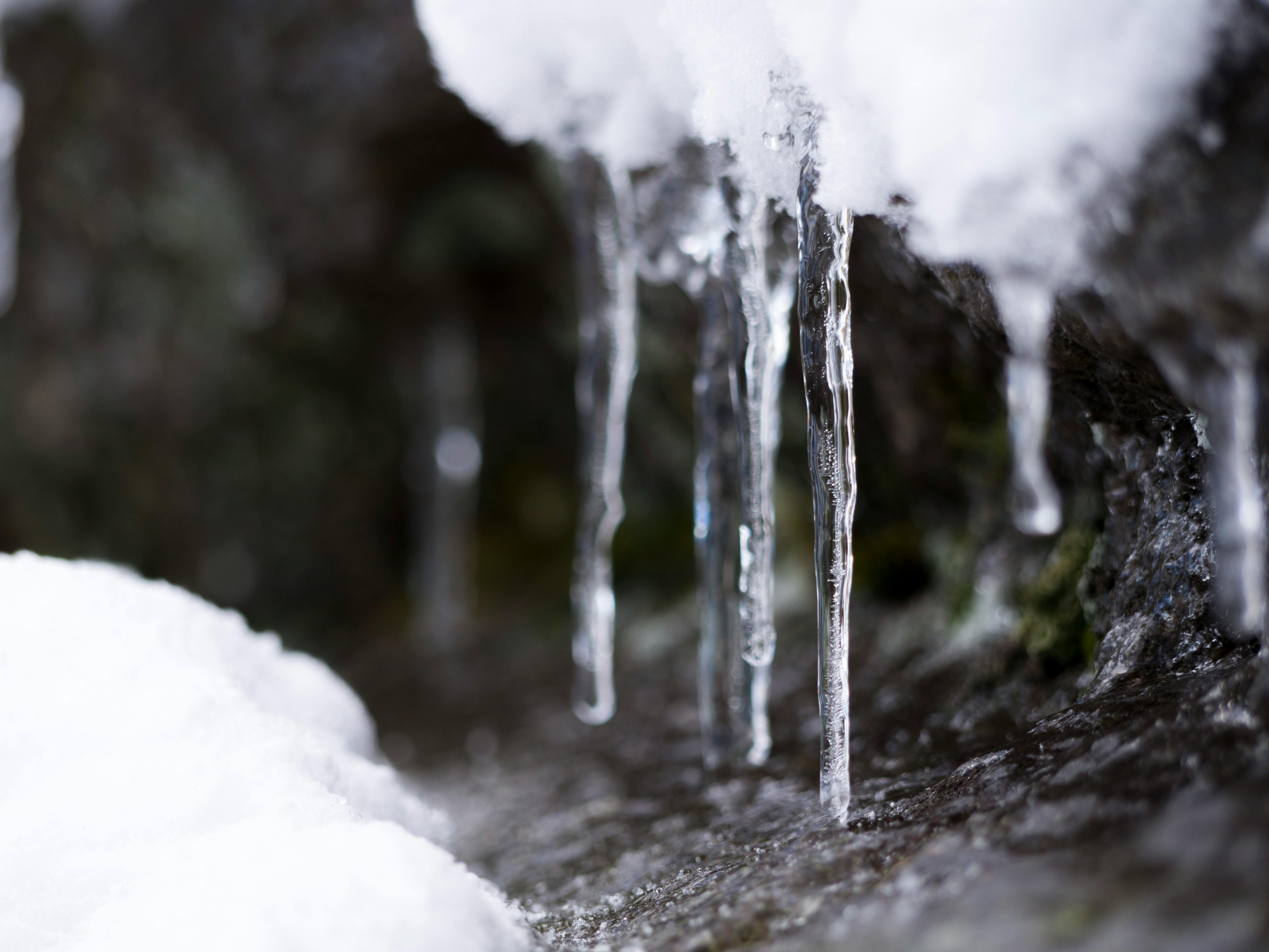 Eric Versaw - 사진