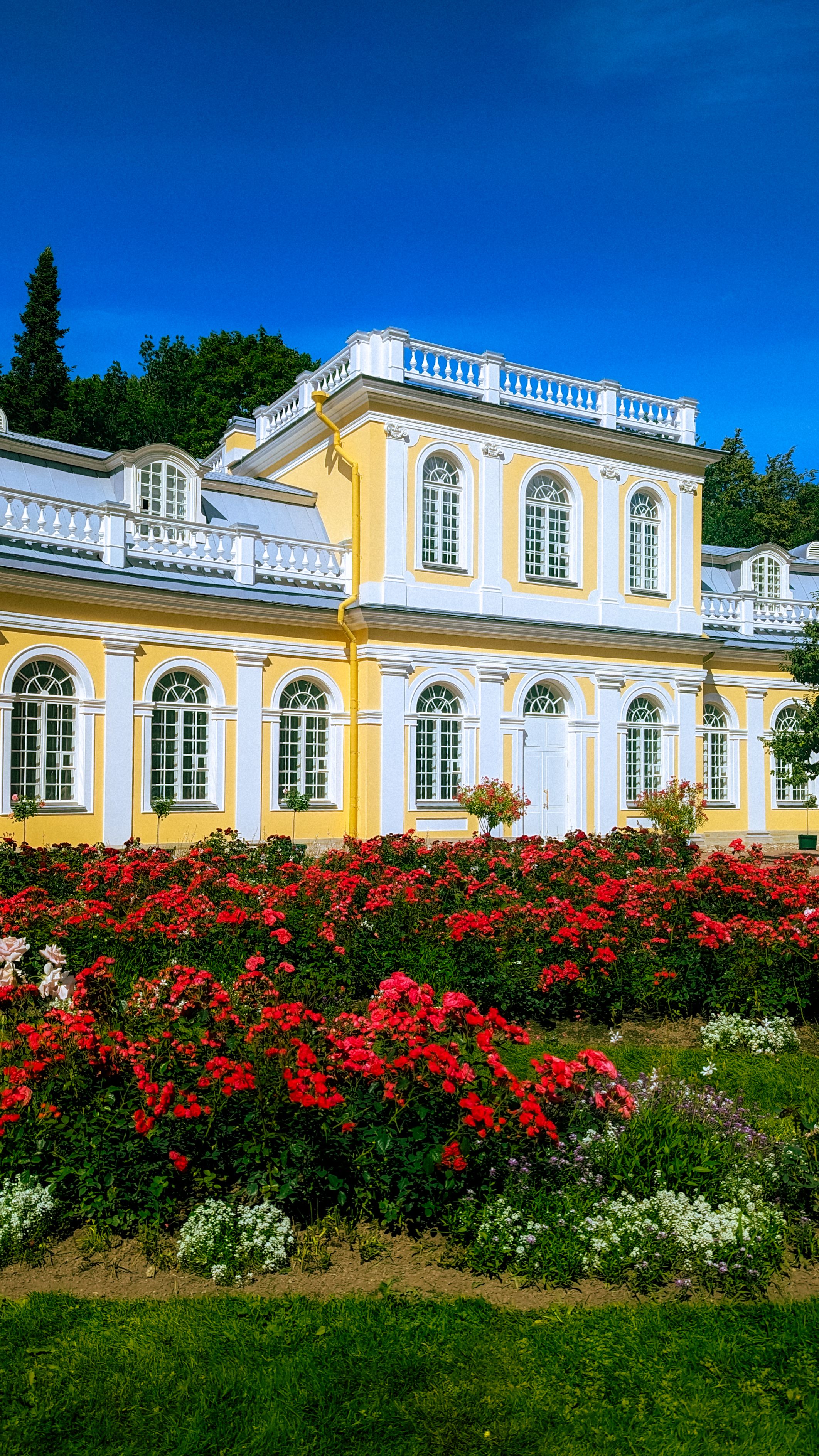 Elegant Yellow Mansion with Vibrant Garden · Free Stock Photo