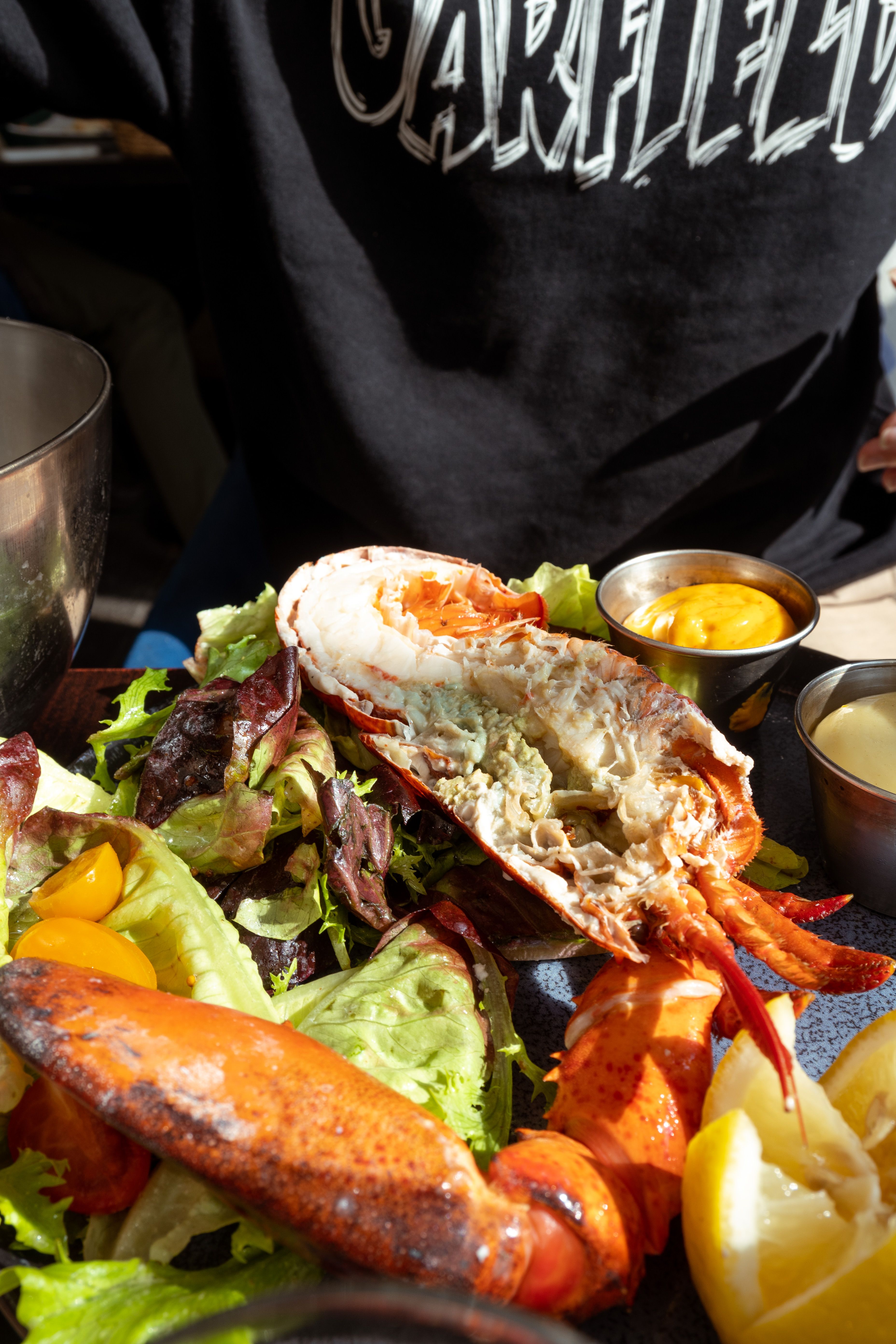 Lobster Photos, Download The BEST Free Lobster Stock Photos & HD Images