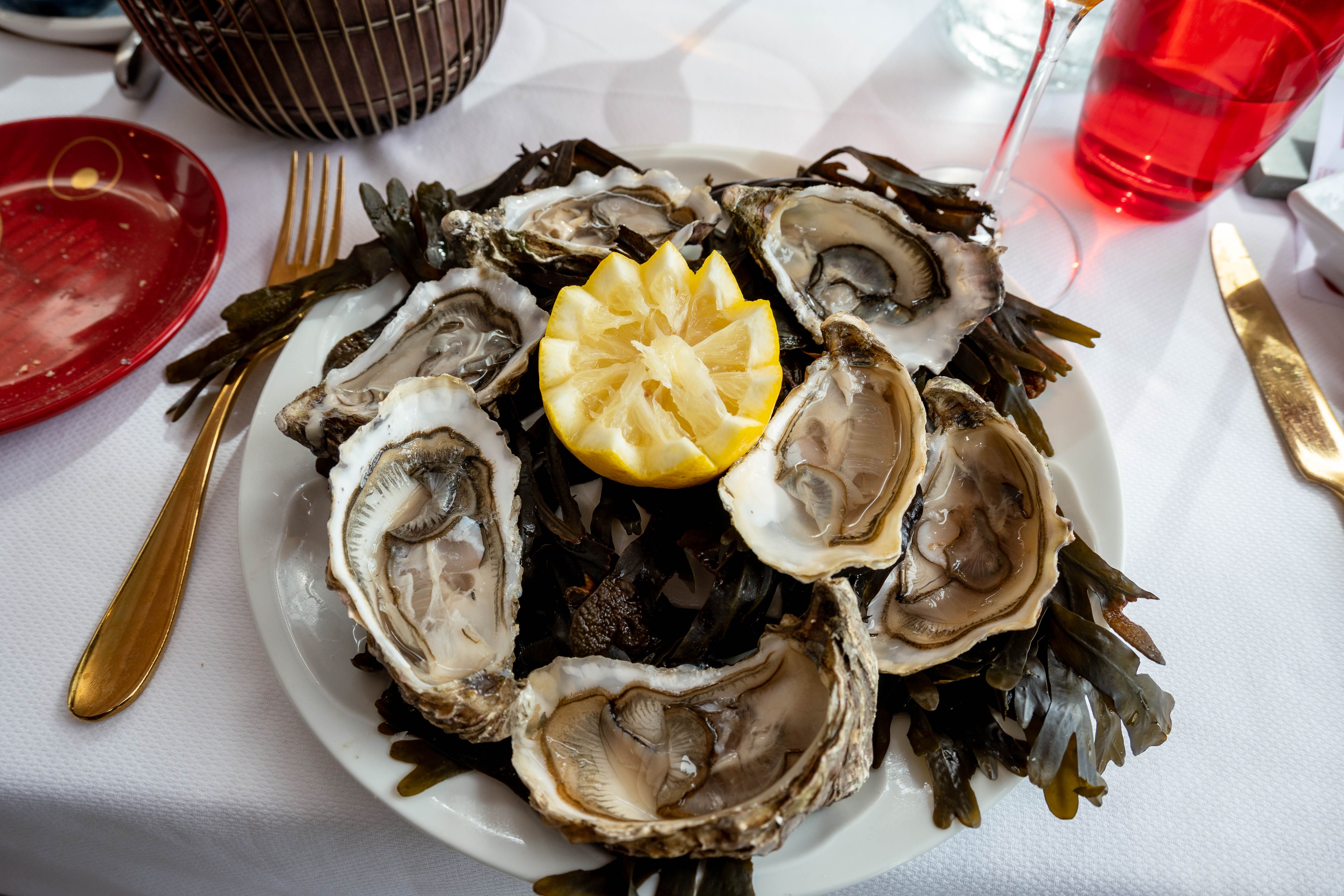 Imagine de stoc gratuită cu antreu, aperitiv, argintărie, aroma ...