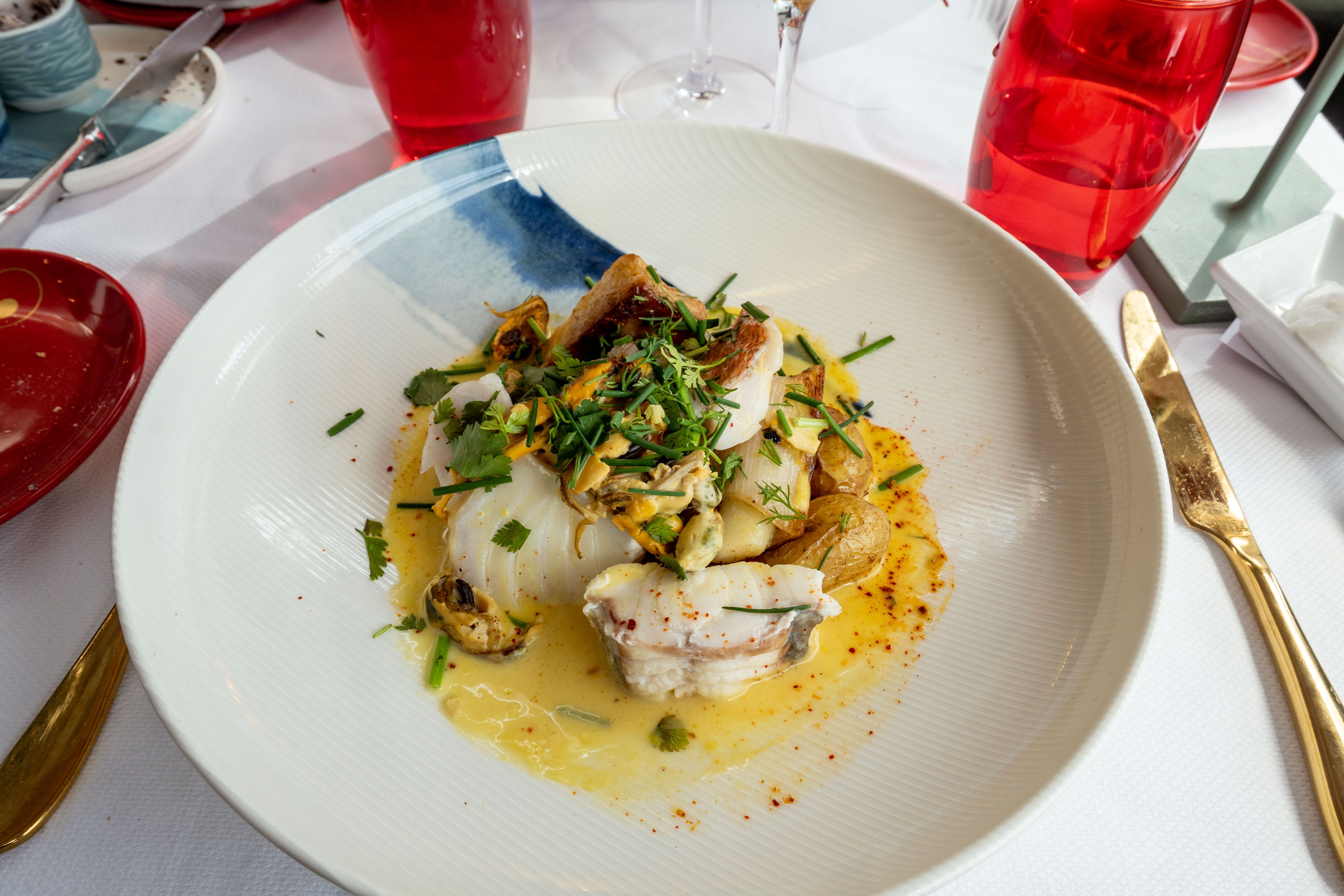 Gourmet Fish Dish with Herbs in Boulogne-Sur-Mer · Free Stock Photo