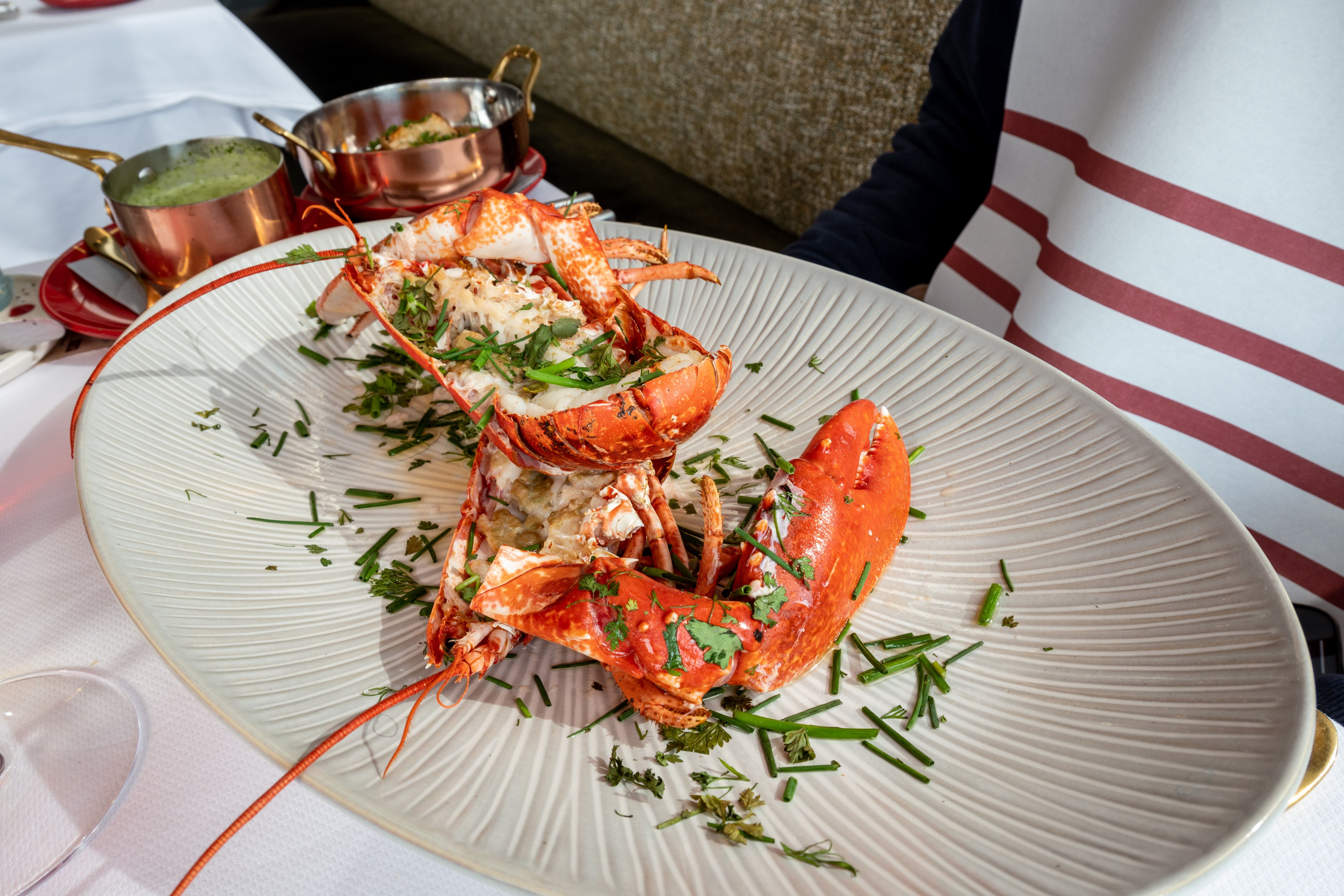 Elegant Lobster Dish in French Restaurant Setting · Free Stock Photo
