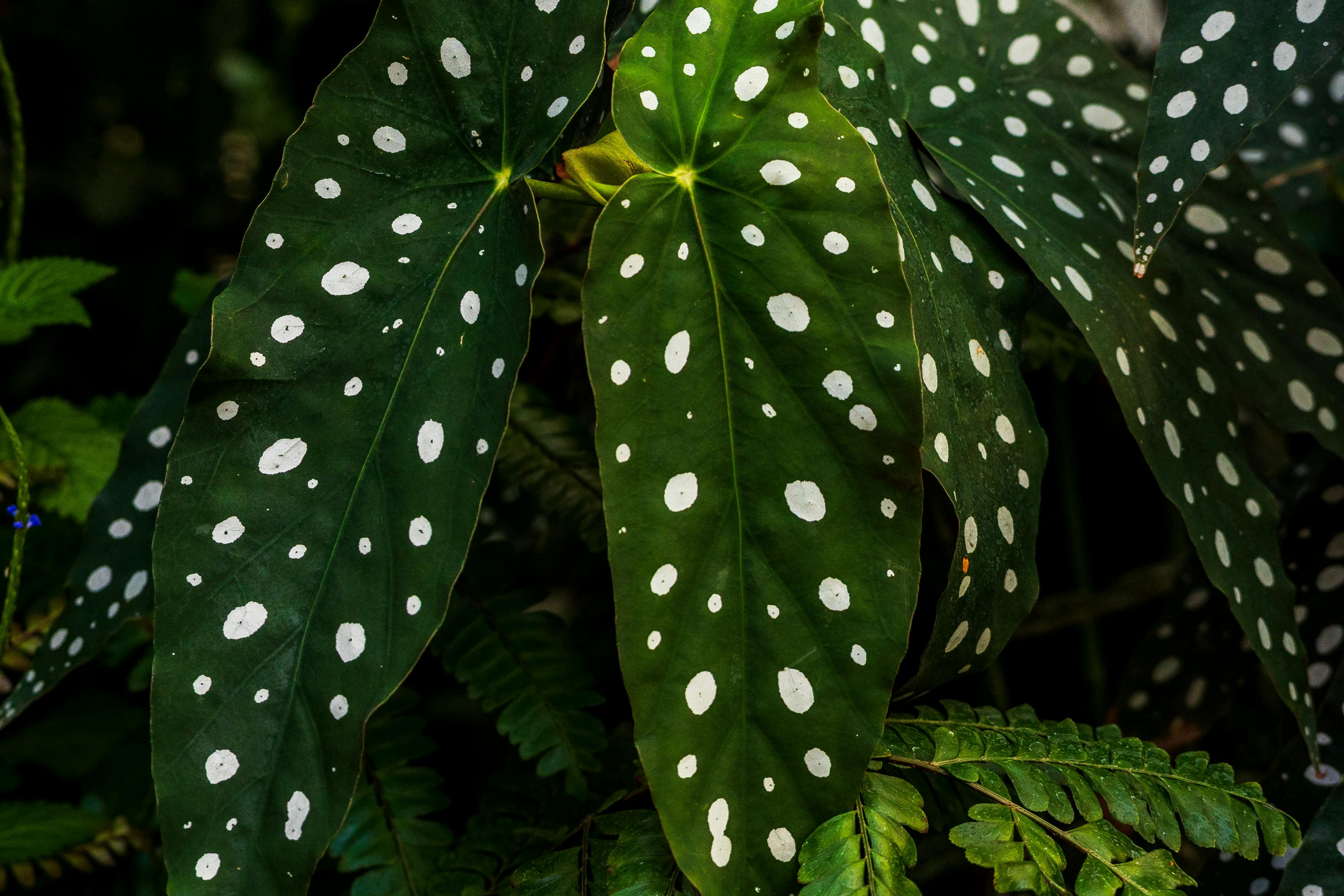 Dot Photos, Download The BEST Free Dot Stock Photos & HD Images